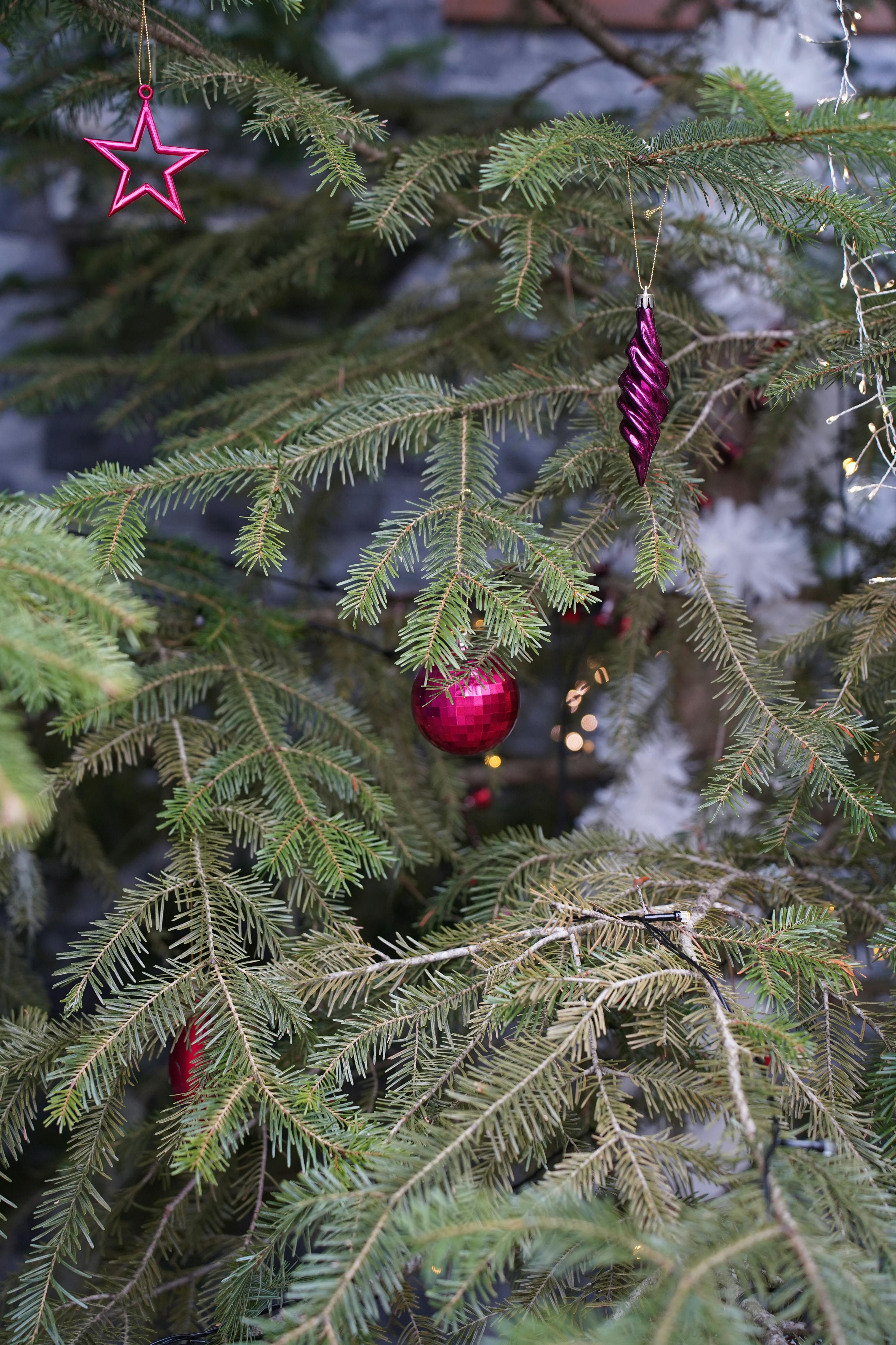 See+I+N+Computer Photos, Download The BEST Free See+I+N+Computer Stock ...