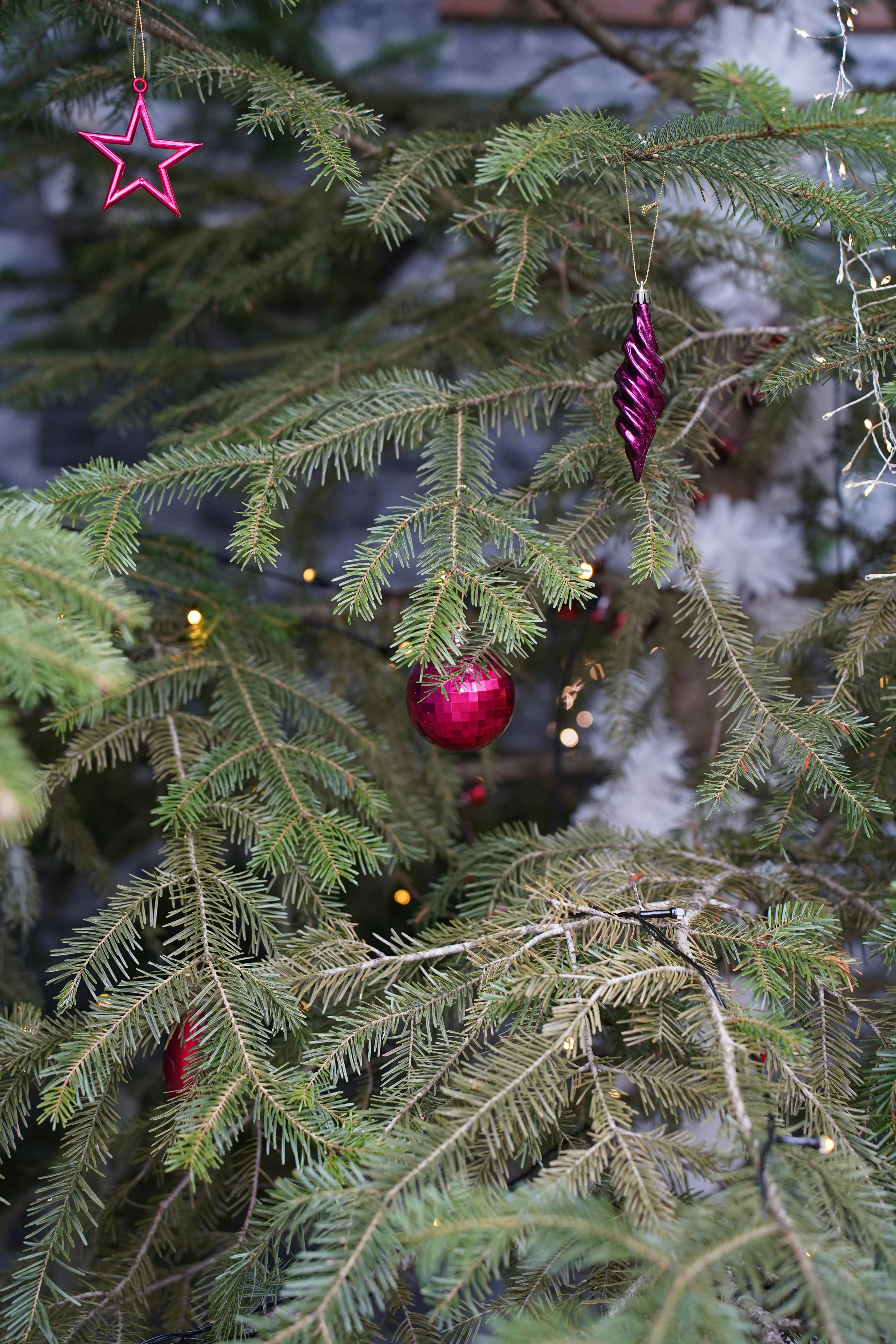 Ambience+Mall+Website Photos, Download The BEST Free Ambience+Mall ...