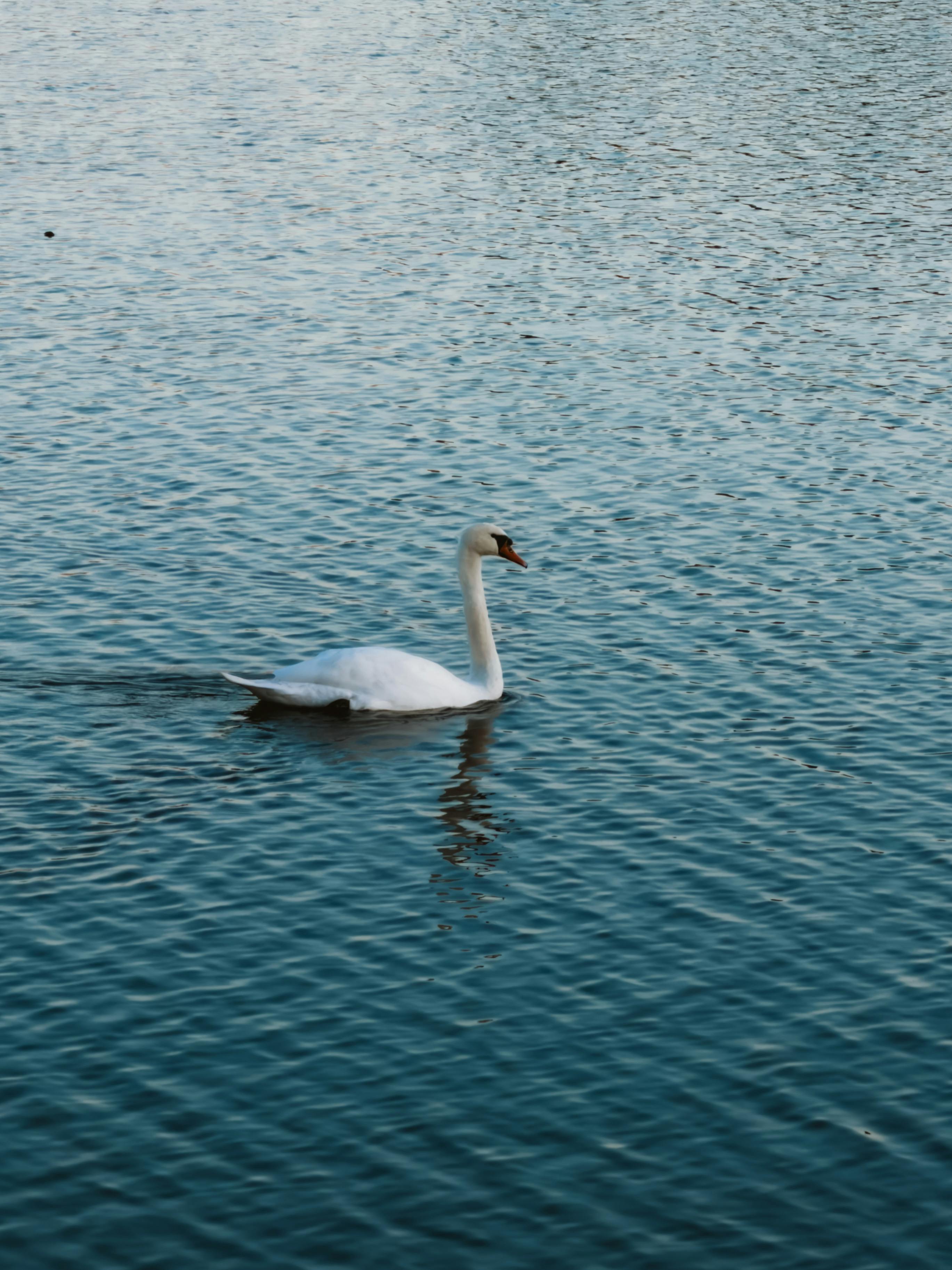 Pics+Za+Kutombana Photos, Download The BEST Free Pics+Za+Kutombana ...