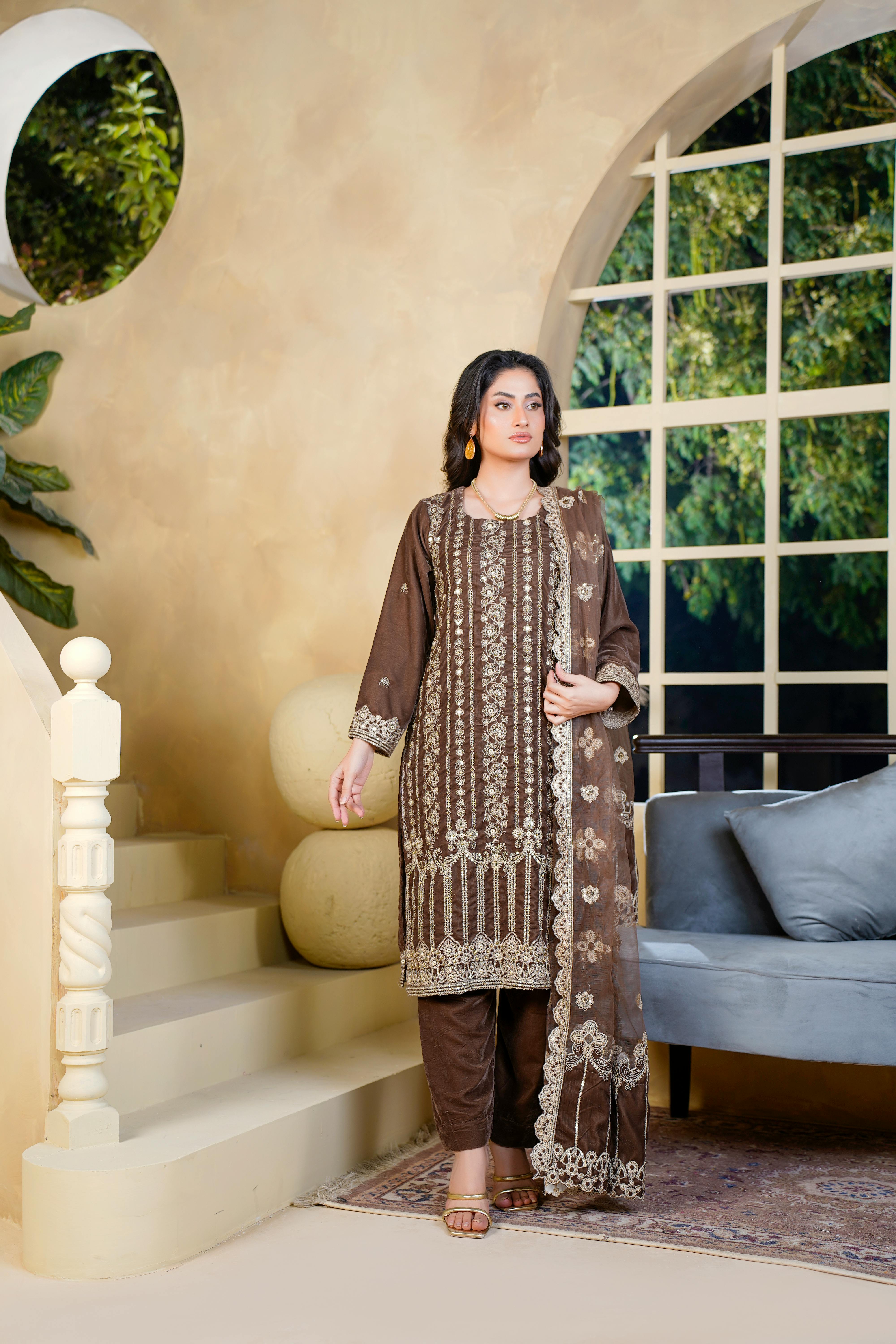 Elegant Eastern Velvet Dress Fashion Portrait · Free Stock Photo