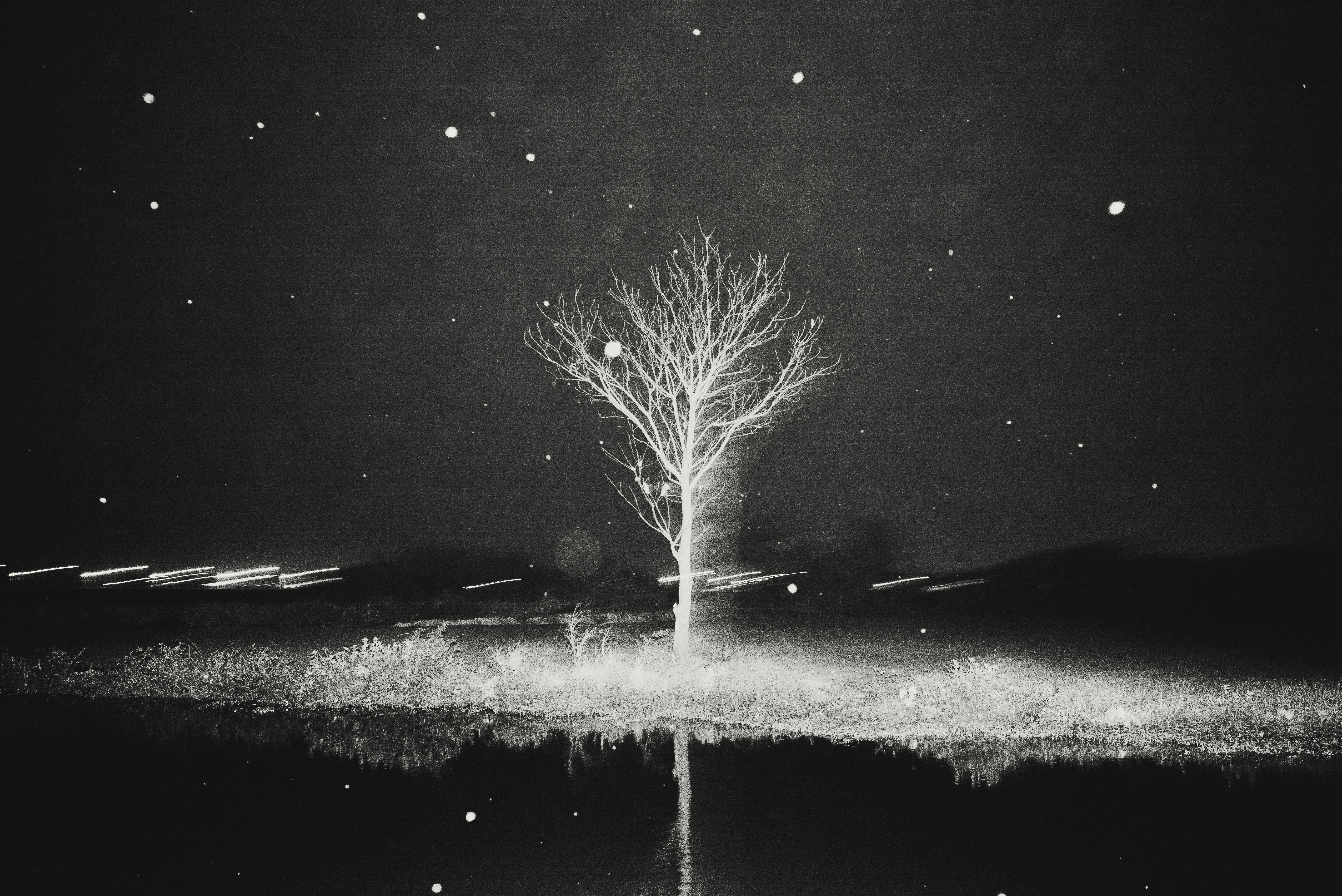 Star's+Pornrone+Bone Photos, Download The BEST Free Star's+Pornrone ...