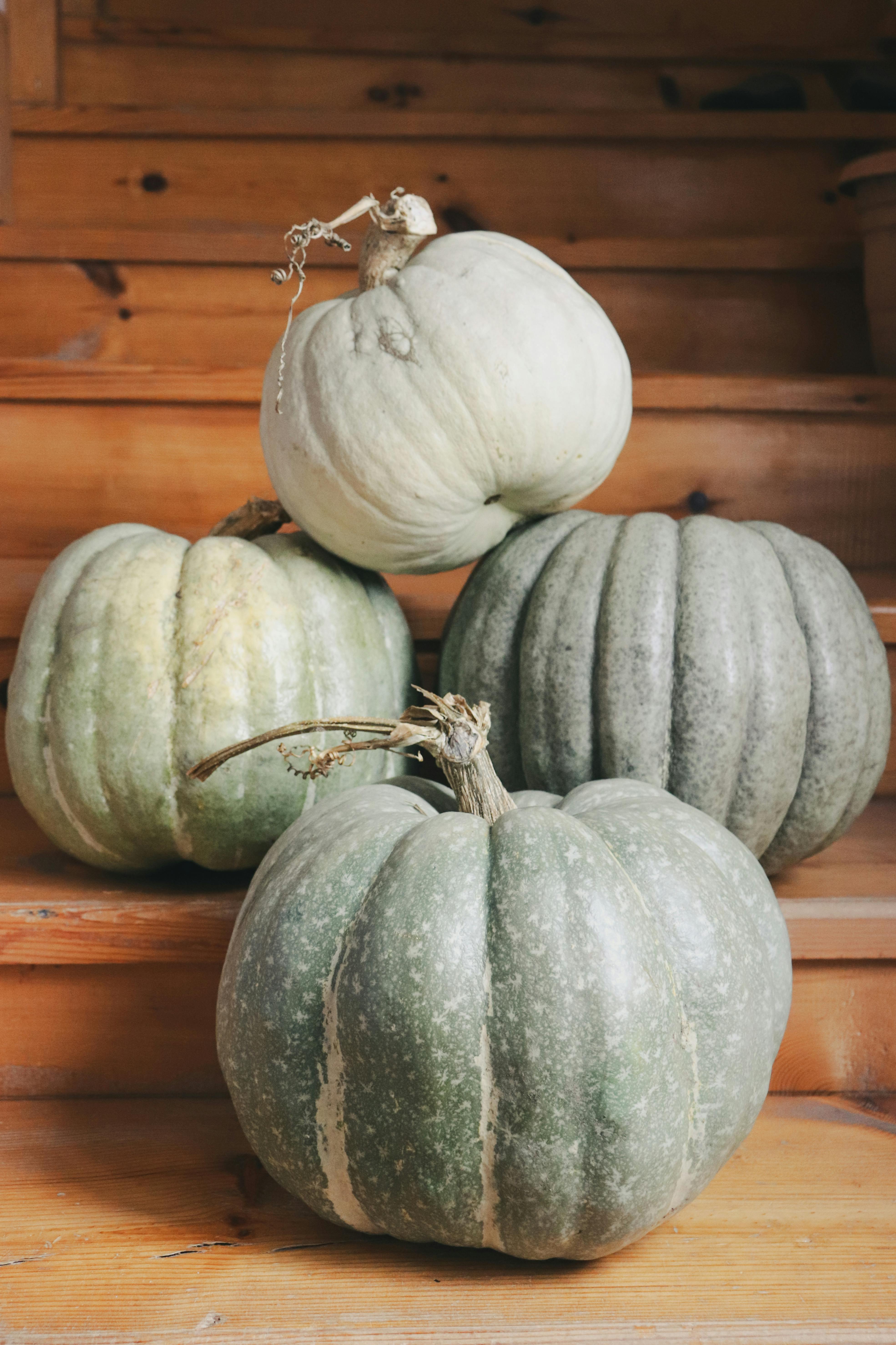 Thanksgiving Catholic Photos, Download The BEST Free Thanksgiving ...