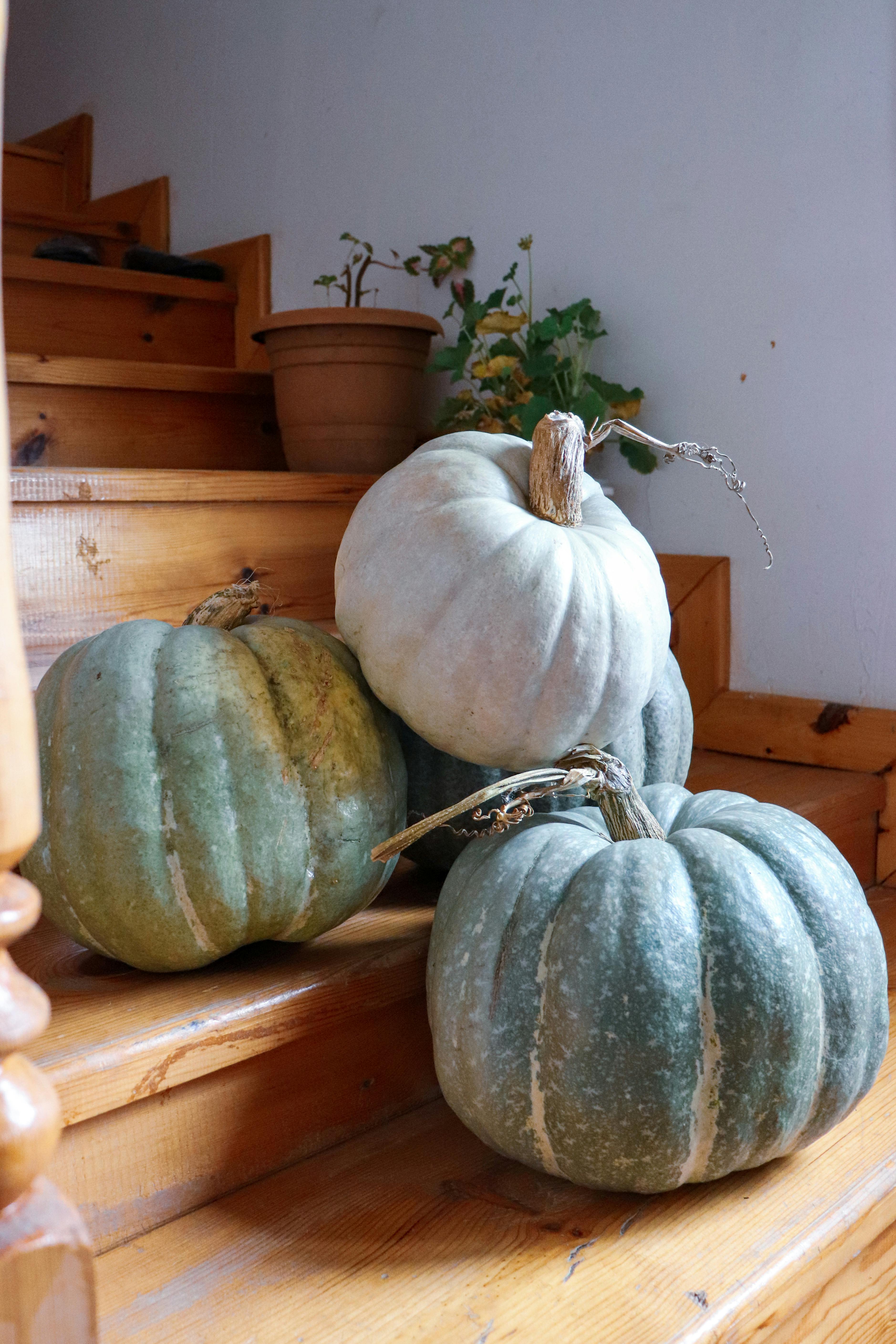 Thanksgiving Catholic Photos, Download The BEST Free Thanksgiving ...