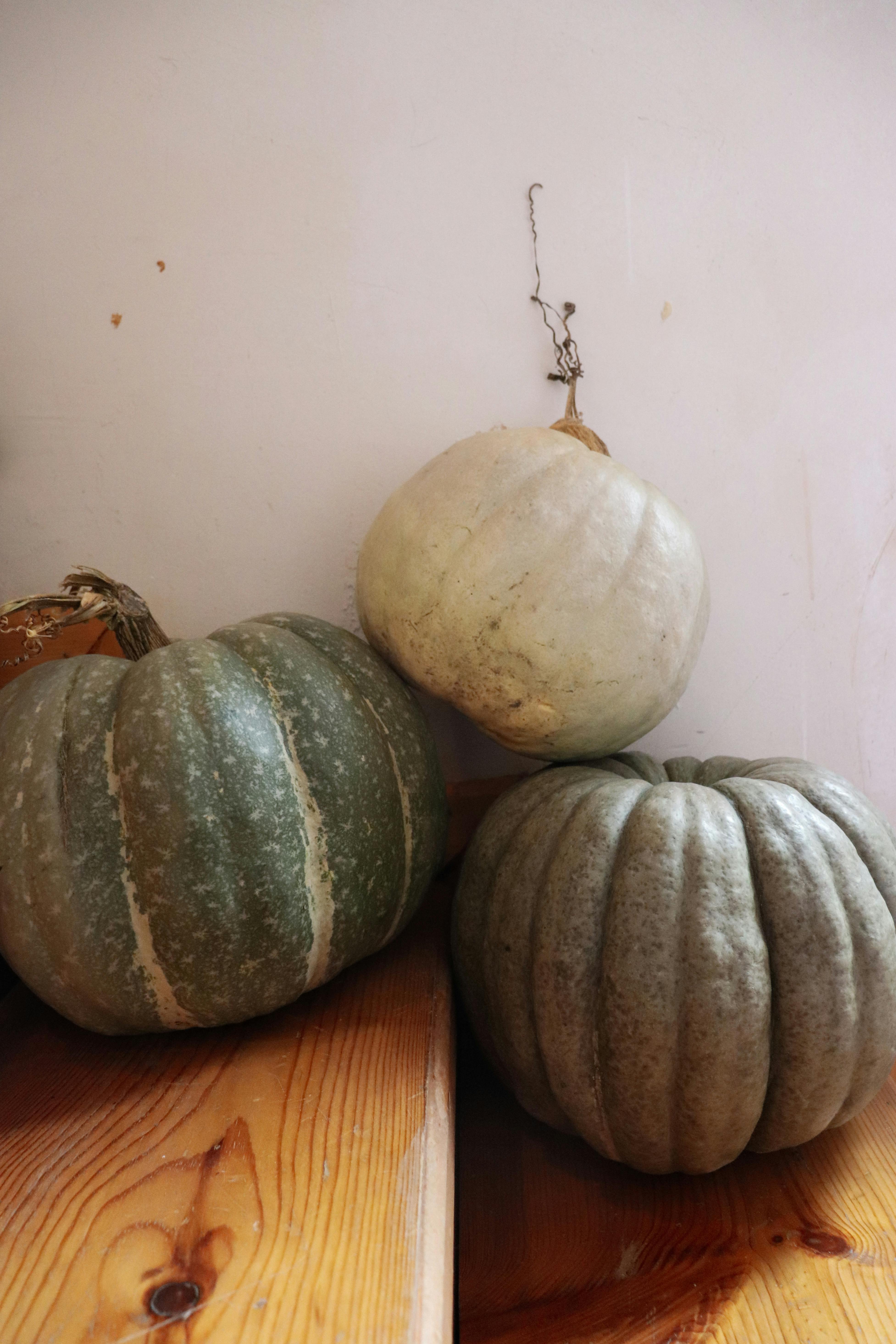 Thanksgiving Catholic Photos, Download The BEST Free Thanksgiving ...