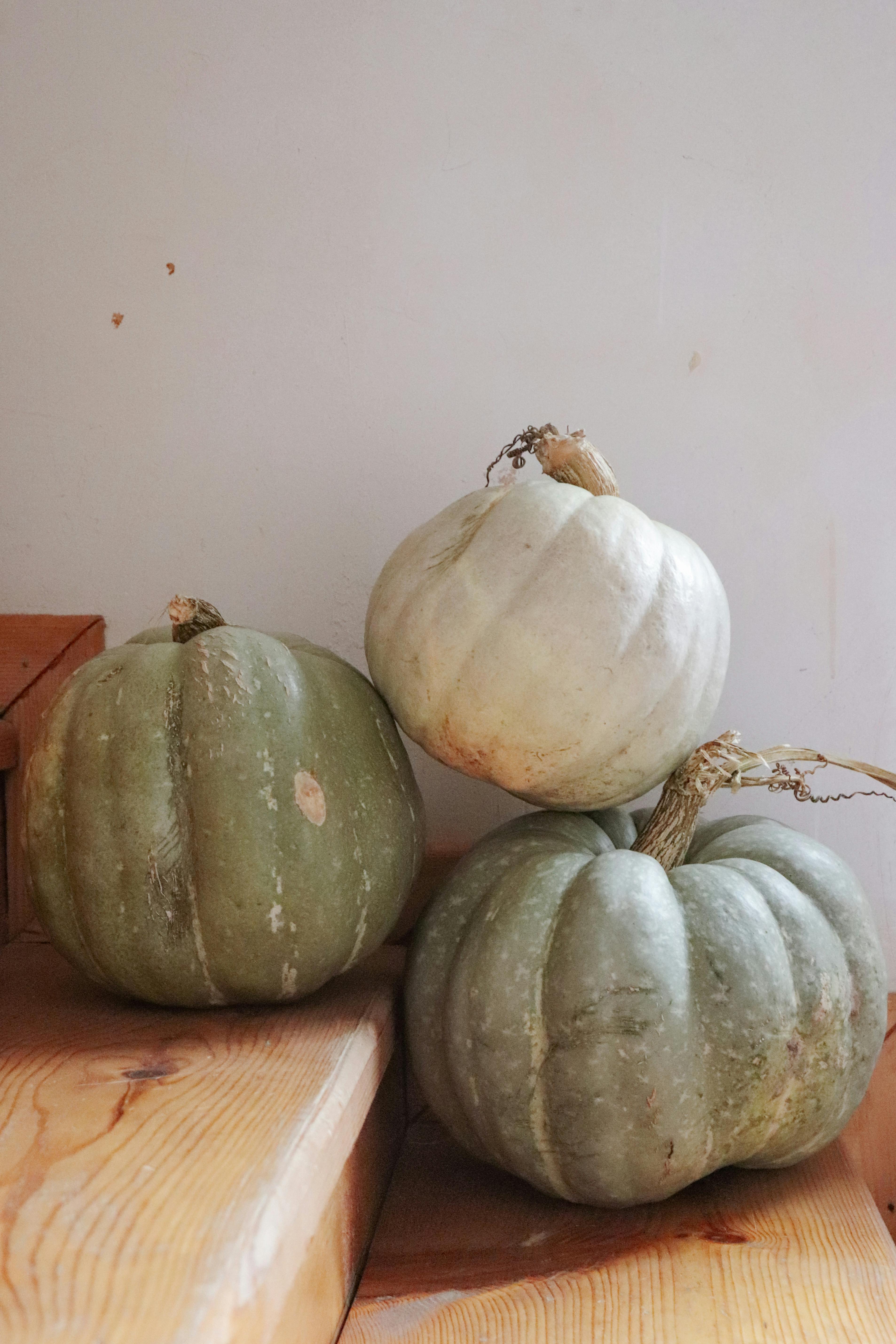 Thanksgiving Catholic Photos, Download The BEST Free Thanksgiving ...