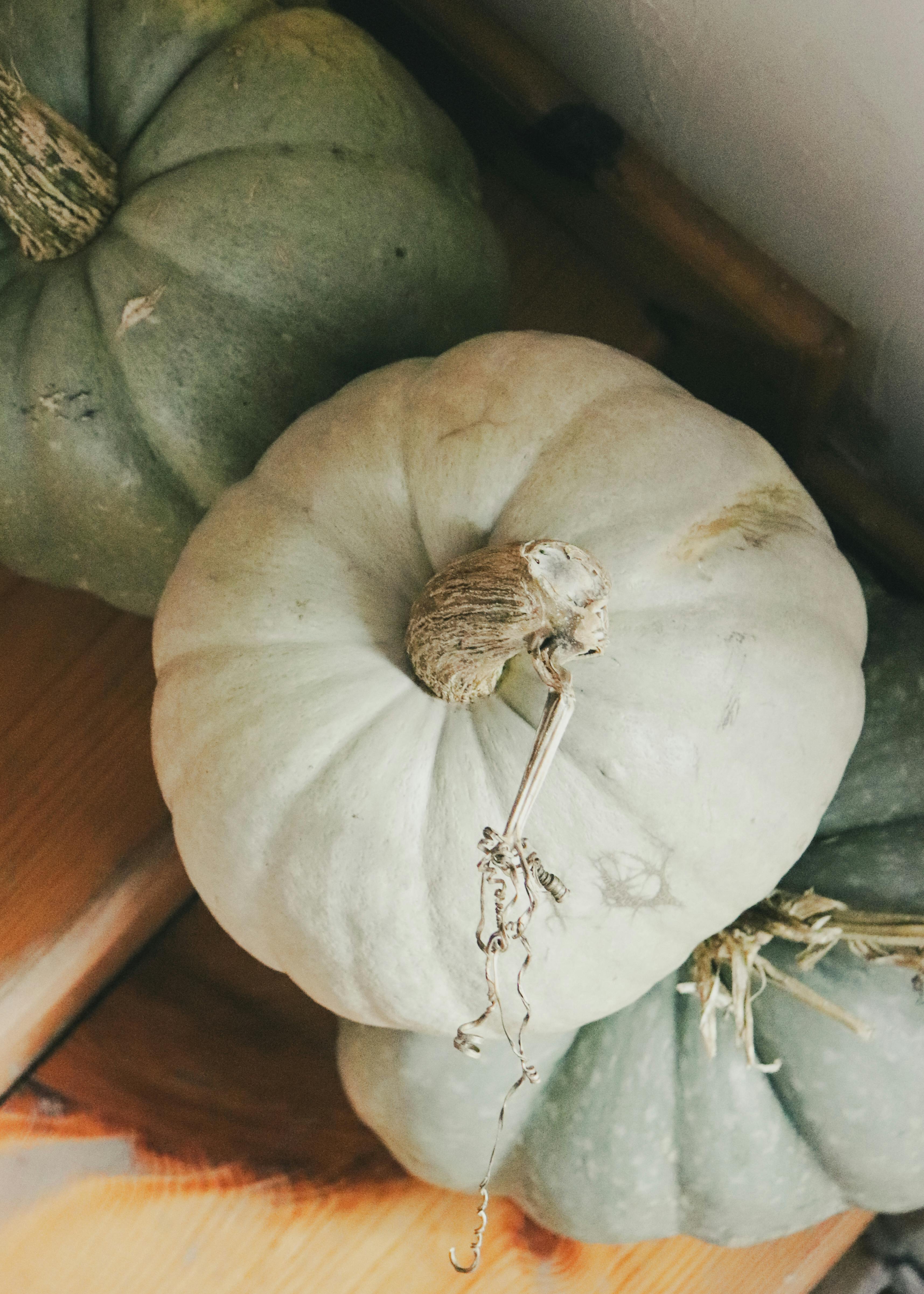 Thanksgiving Catholic Photos, Download The BEST Free Thanksgiving ...