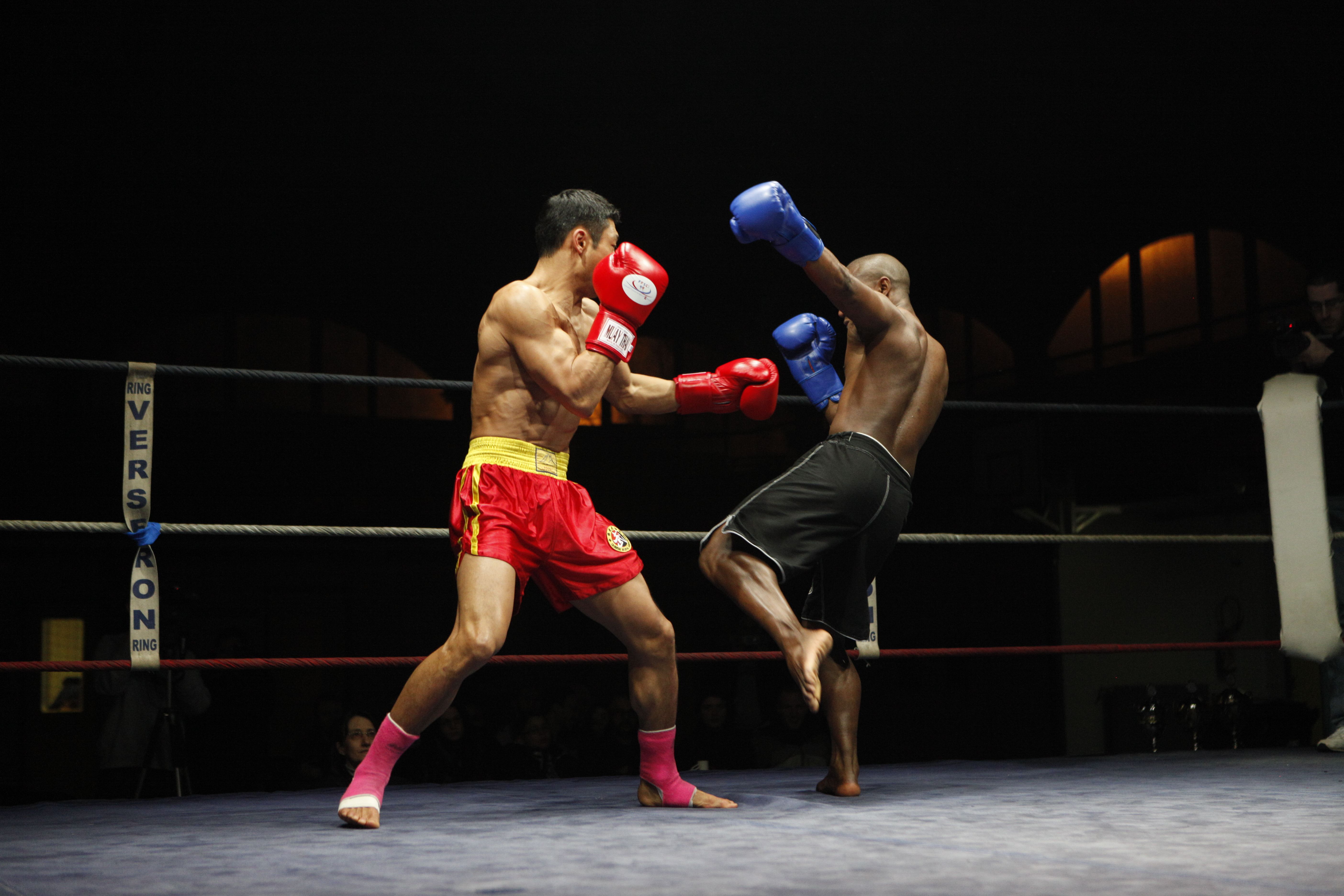 Dynamic Boxing Match in Full Swing · Free Stock Photo