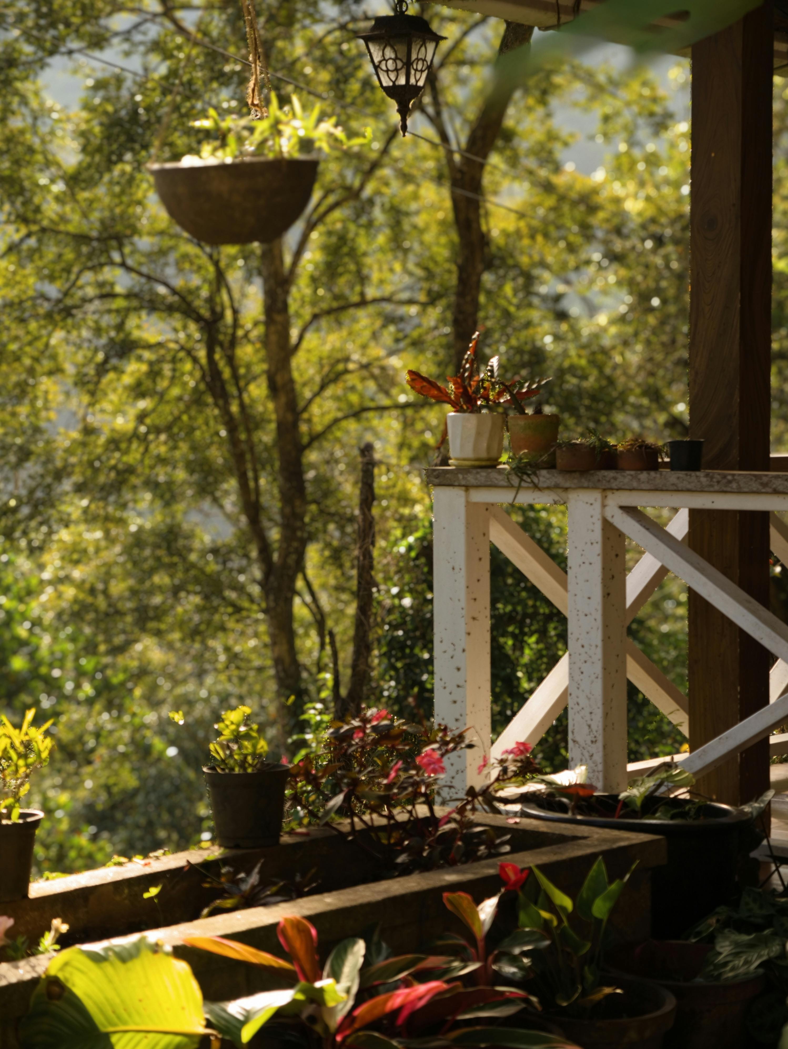 Websites+Like+Serialgo.Tv Photos, Download The BEST Free Websites+Like ...