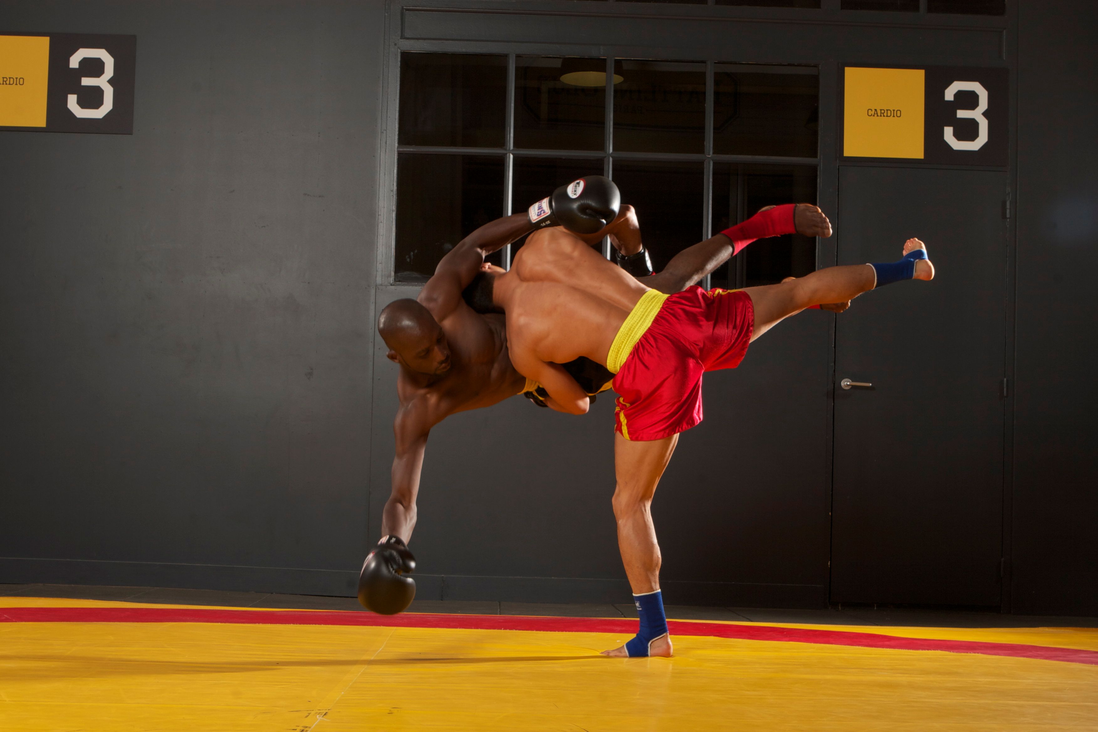 Dynamic Mixed Martial Arts Training Session · Free Stock Photo