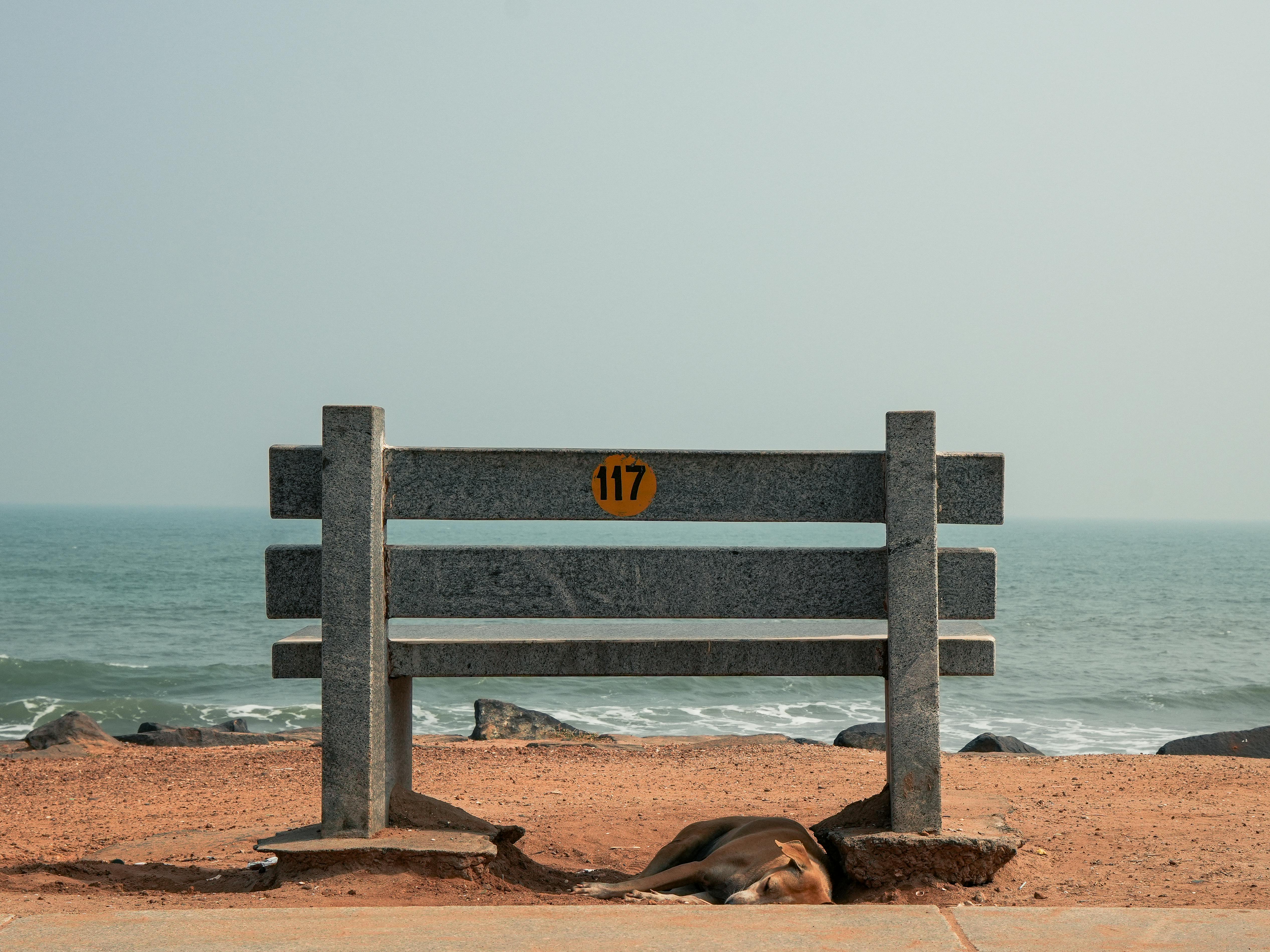 Timeline Animation Minimal Photos, Download The BEST Free Timeline ...