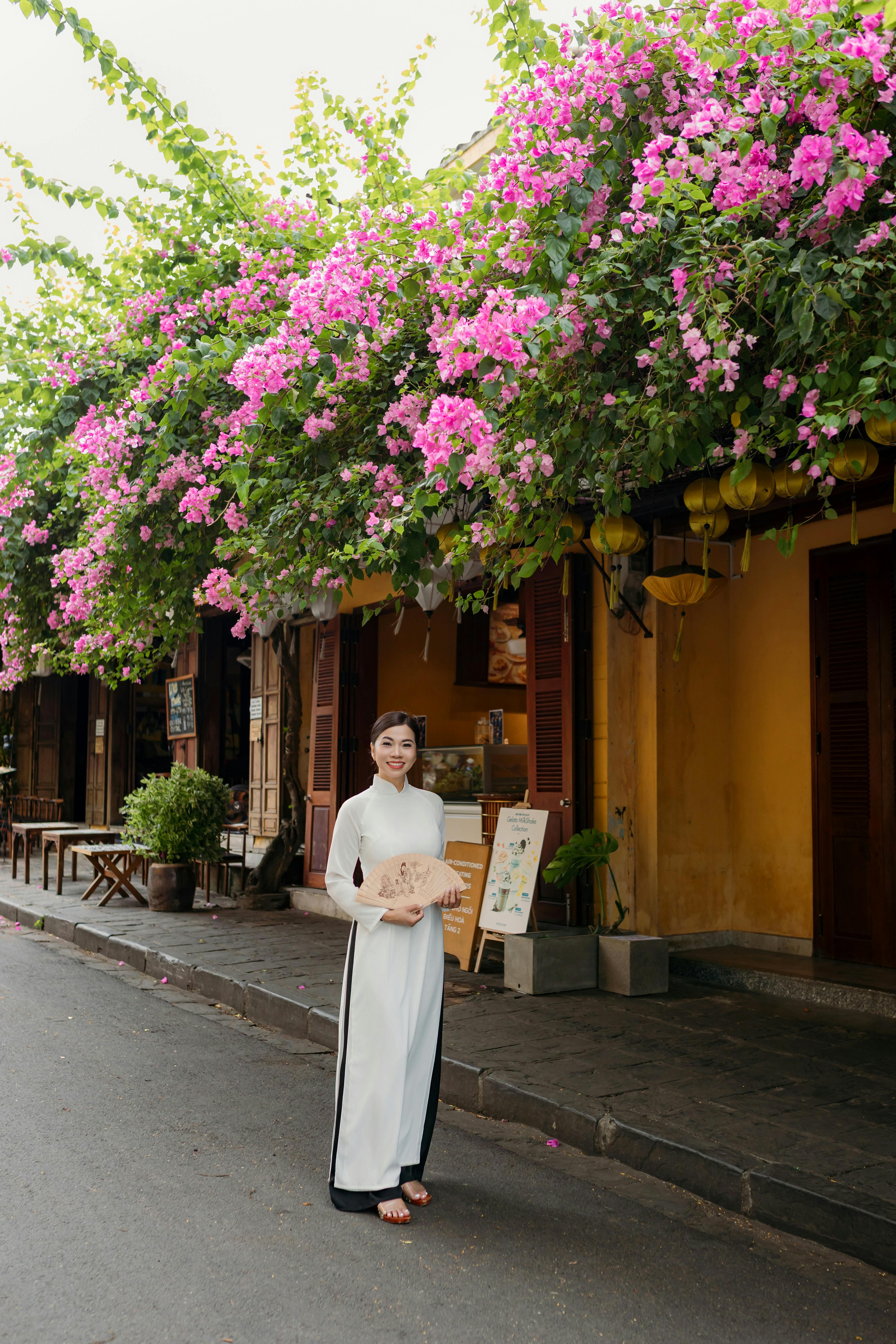 281.047+ Fotos y Imágenes de Chatango+flowers Gratis · Banco de Fotos ...