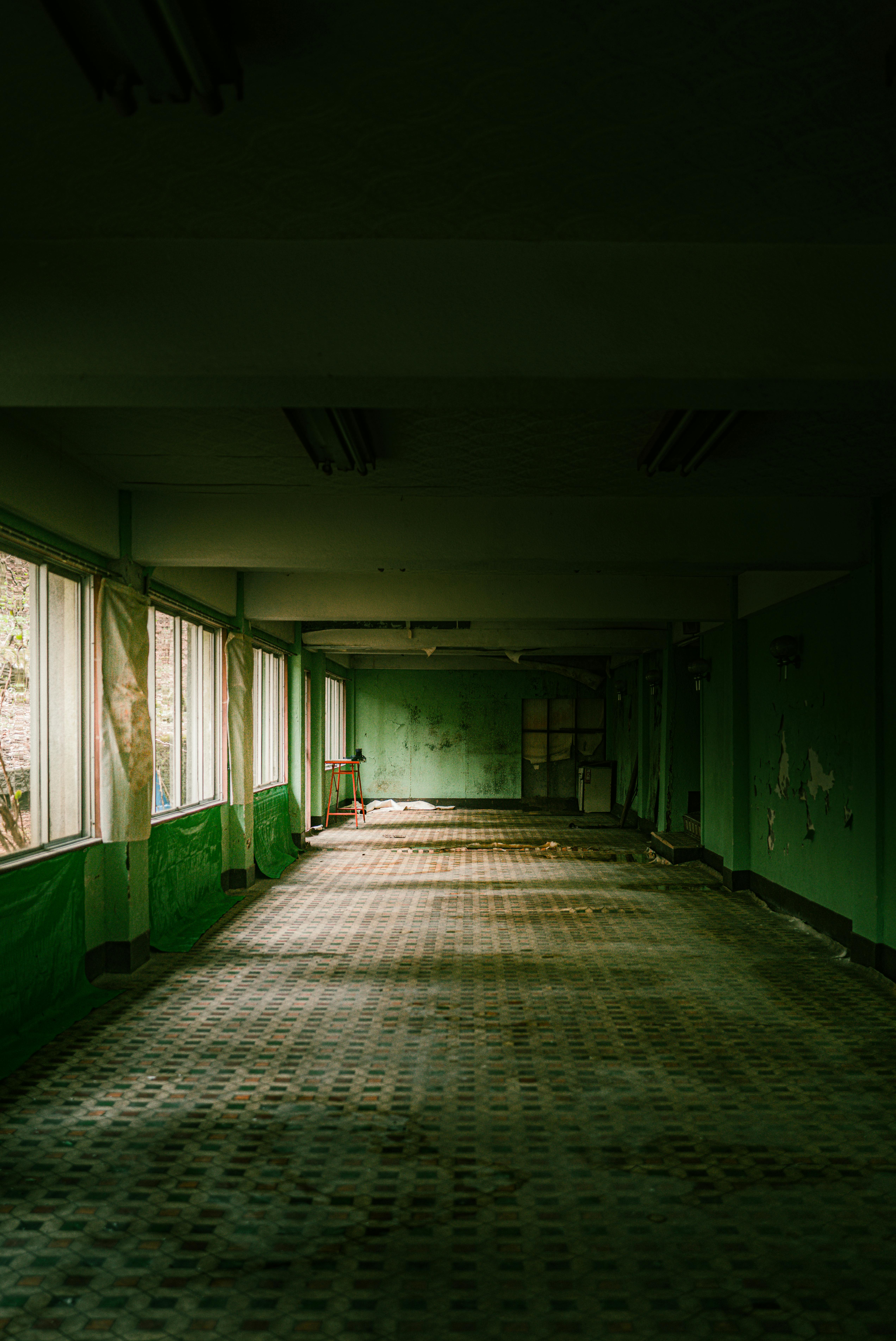 70,000+개의 최고의 Desktop-wallpaper 사진 · 100% 무료 다운로드 · Pexels 스톡 사진