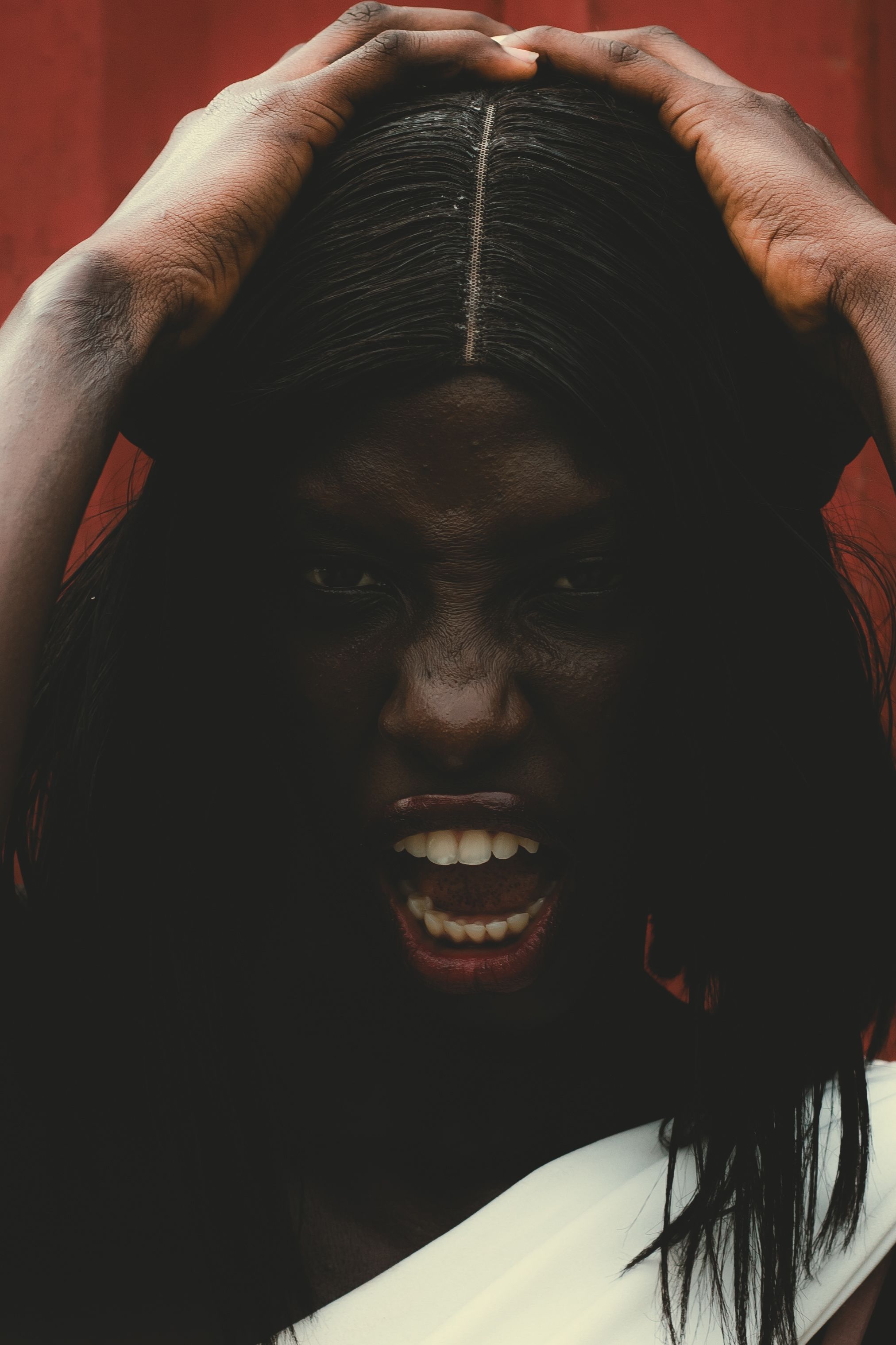 Bold Head Photos, Download The BEST Free Bold Head Stock Photos & HD Images