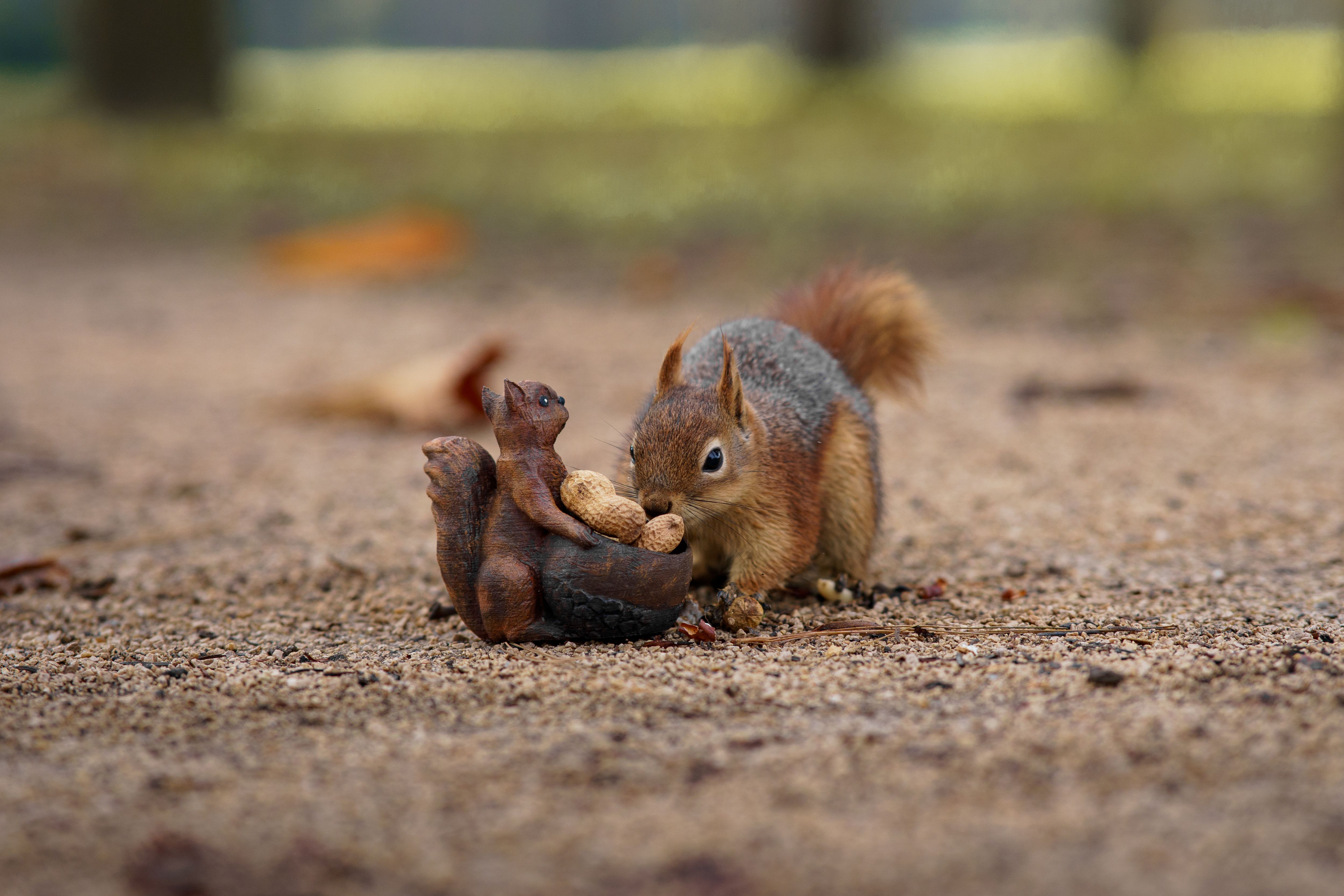 Cute Nature Photos, Download The BEST Free Cute Nature Stock Photos ...