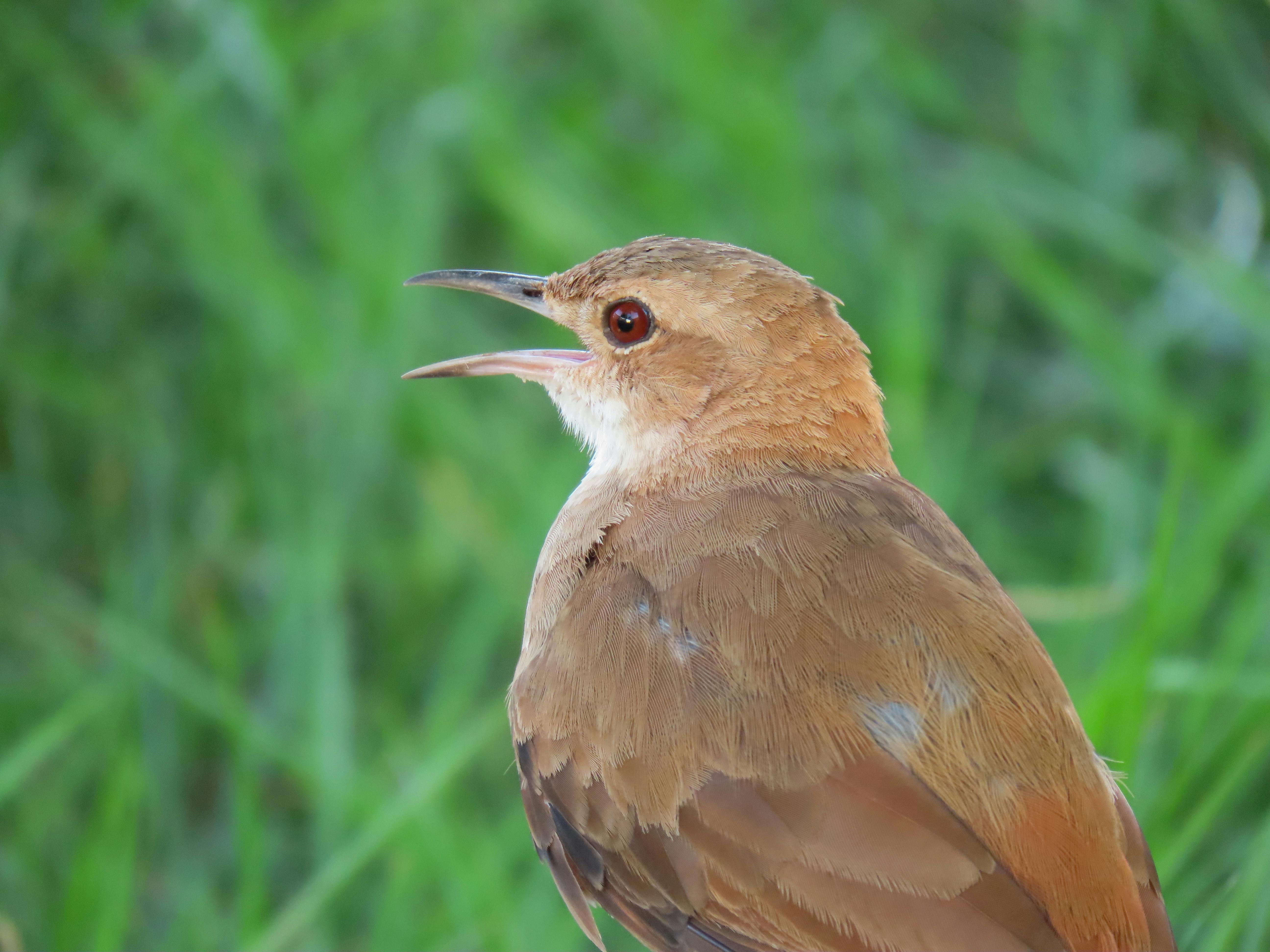 56.134+ Fotos y Imágenes de Grand+à+se Gratis · Banco de Fotos Gratis