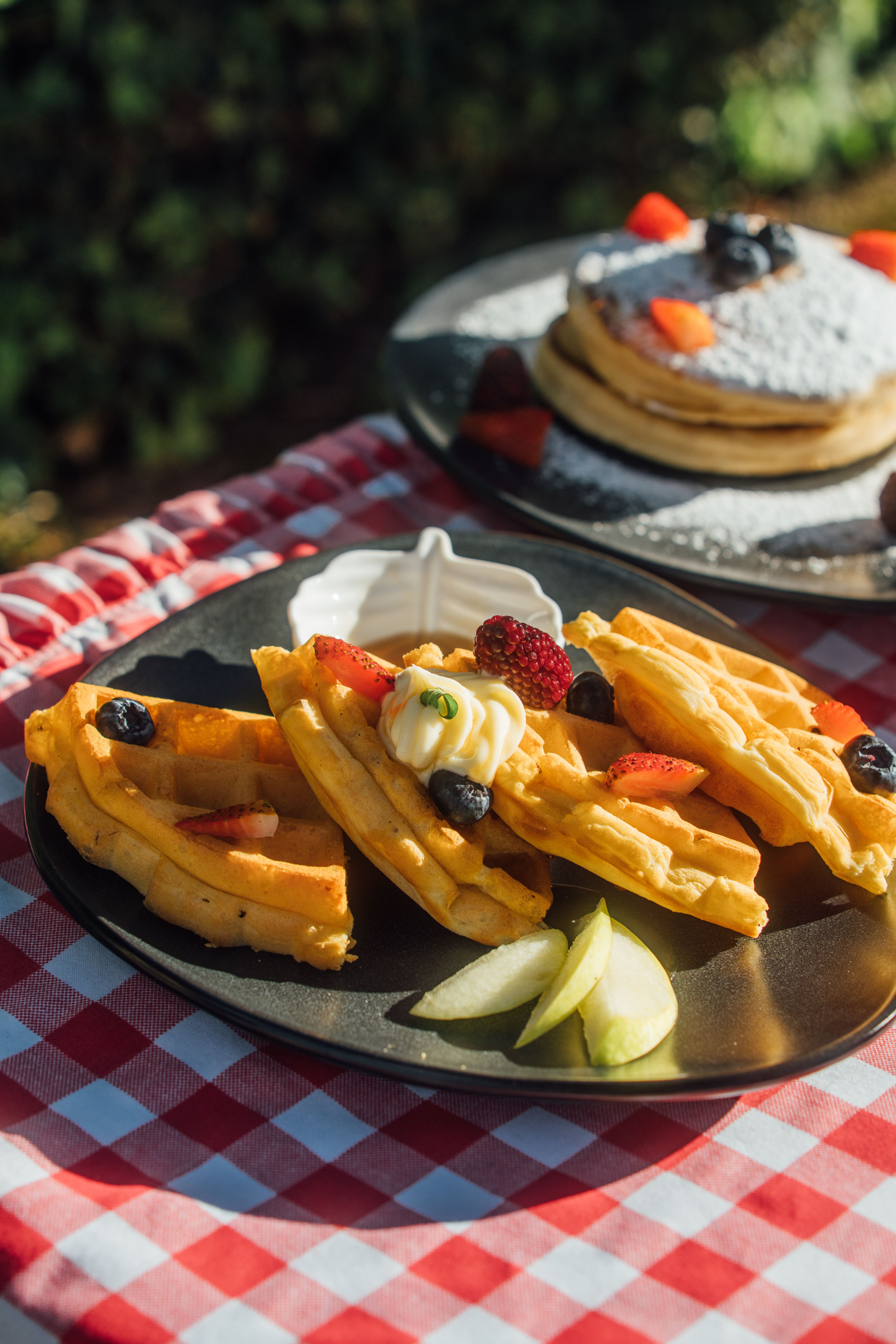 Delicious Waffles and Pancakes Outdoor Brunch · Free Stock Photo