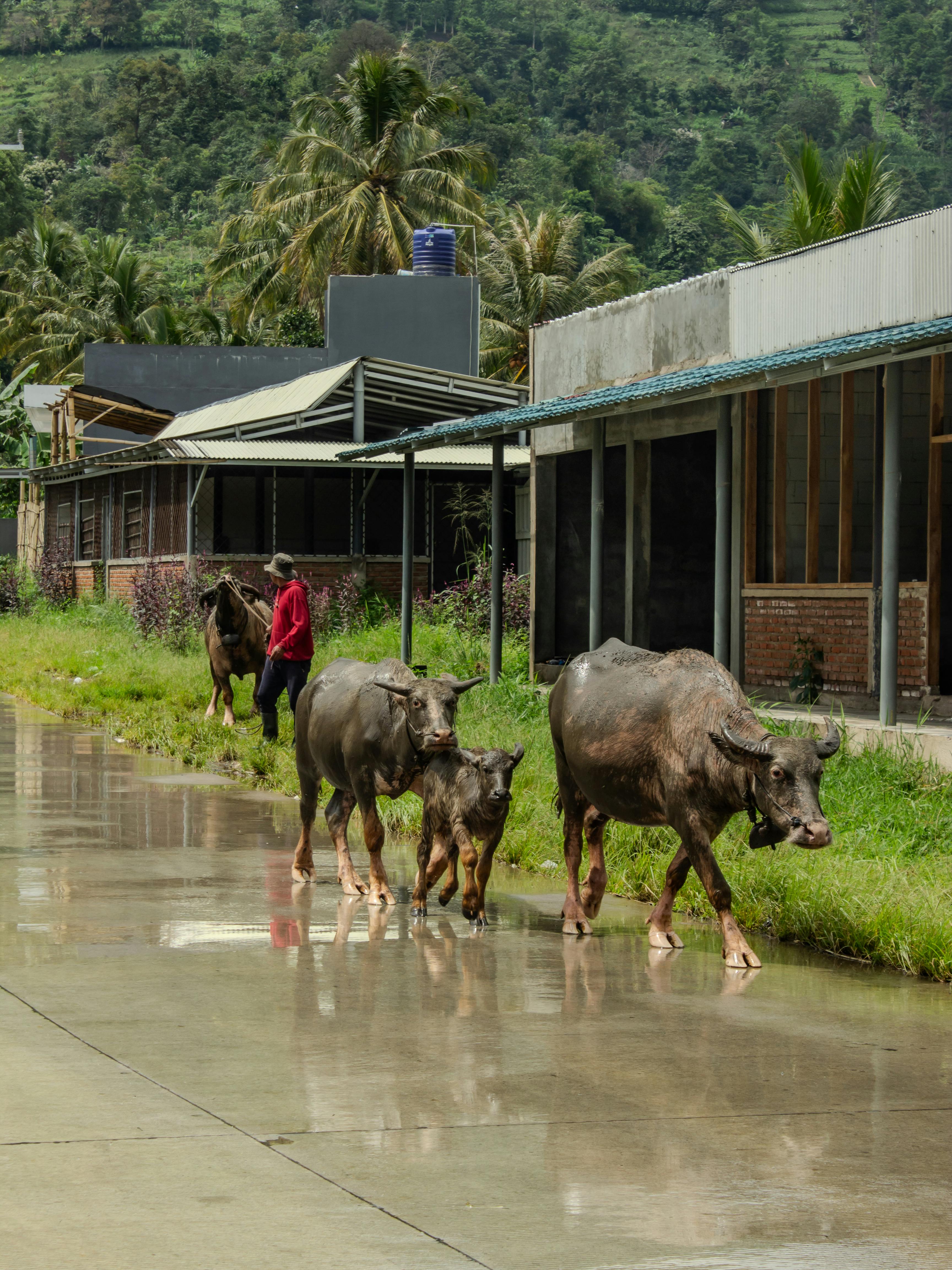 Bokep+Bidan+Indonesia Photos, Download The BEST Free Bokep+Bidan+Indonesia Stock Photos & HD Images