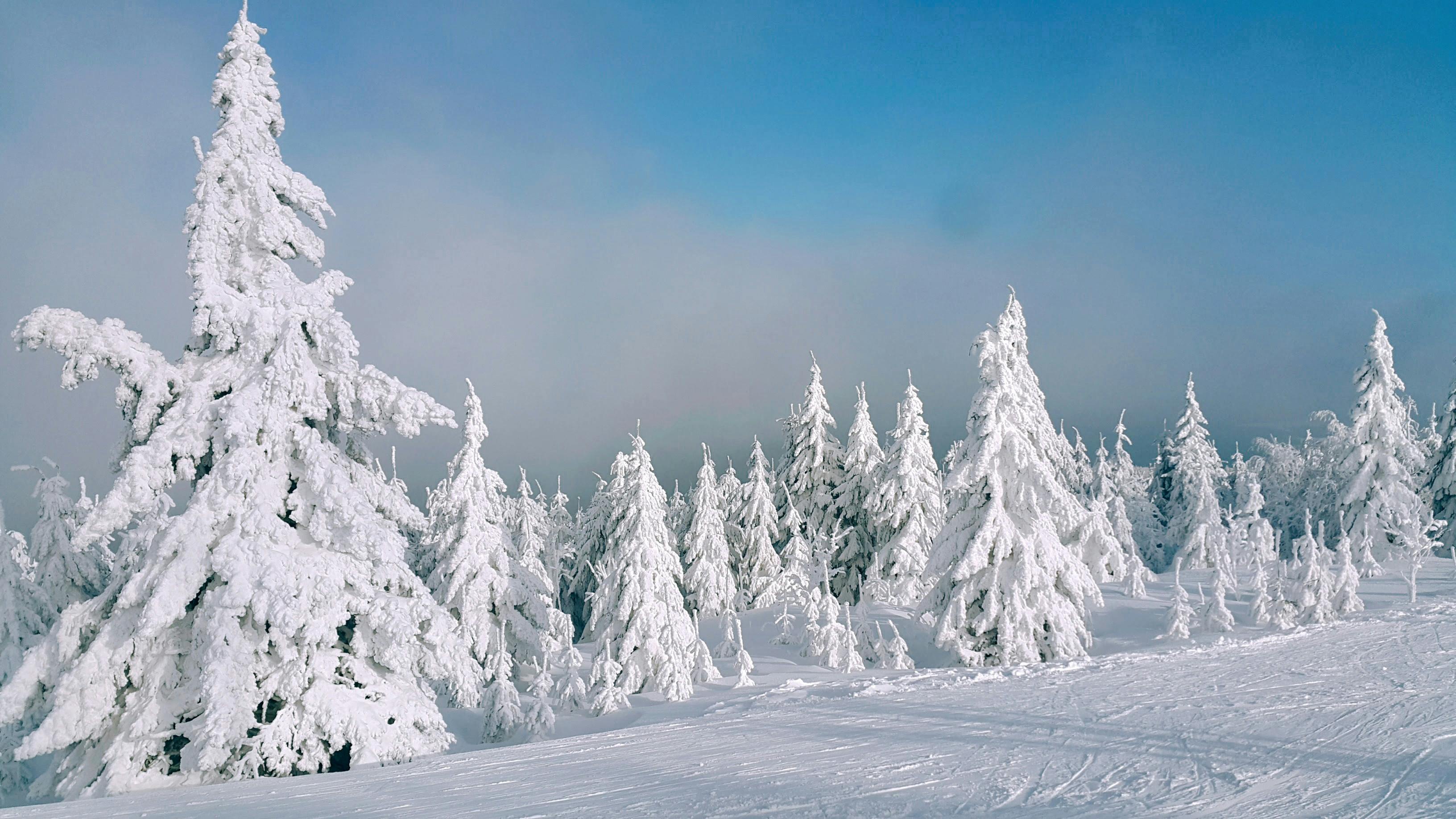 Clean Pfp Photos, Download The BEST Free Clean Pfp Stock Photos & HD Images