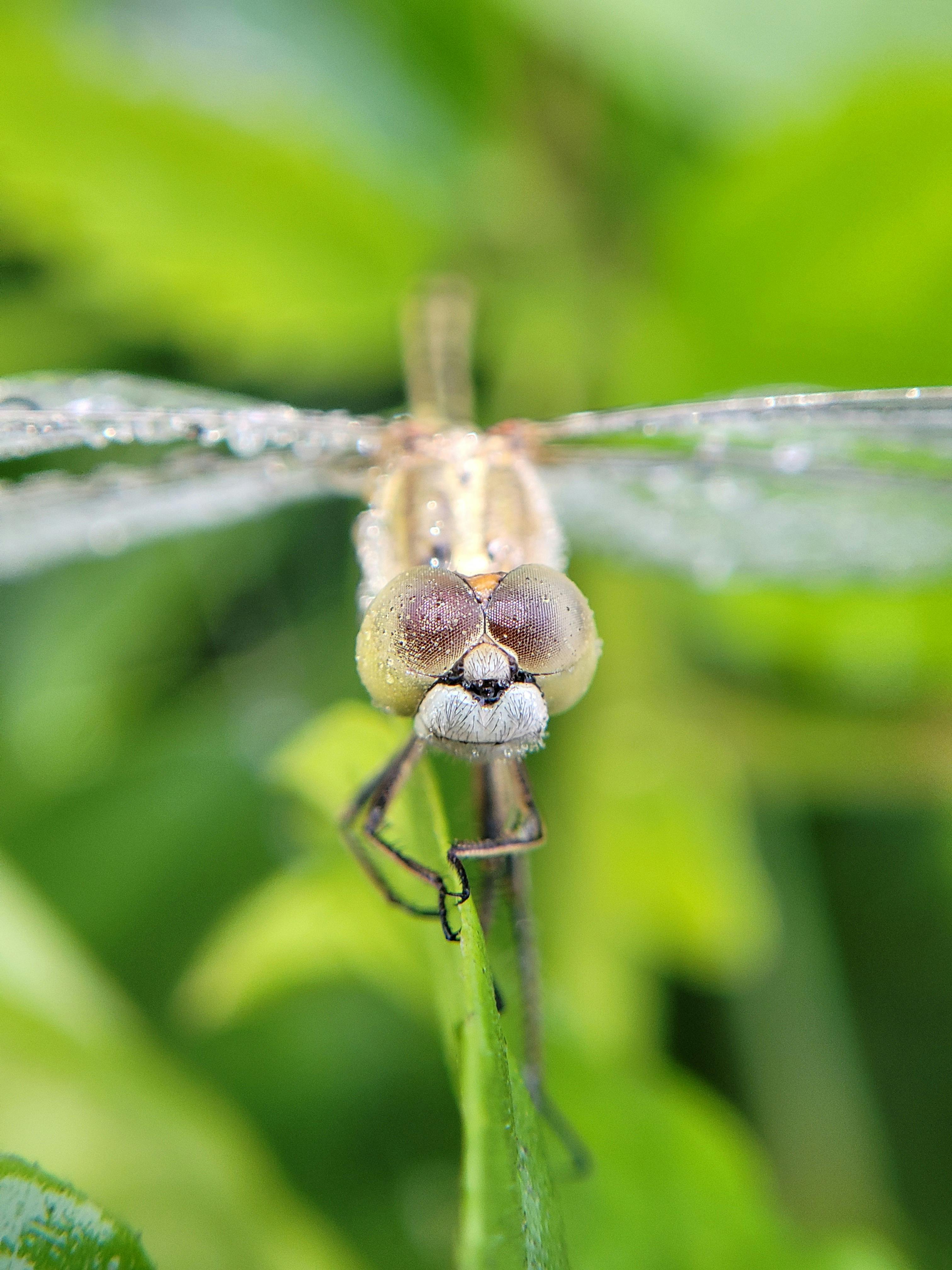 Wallpapers+P Photos, Download The BEST Free Wallpapers+P Stock Photos ...