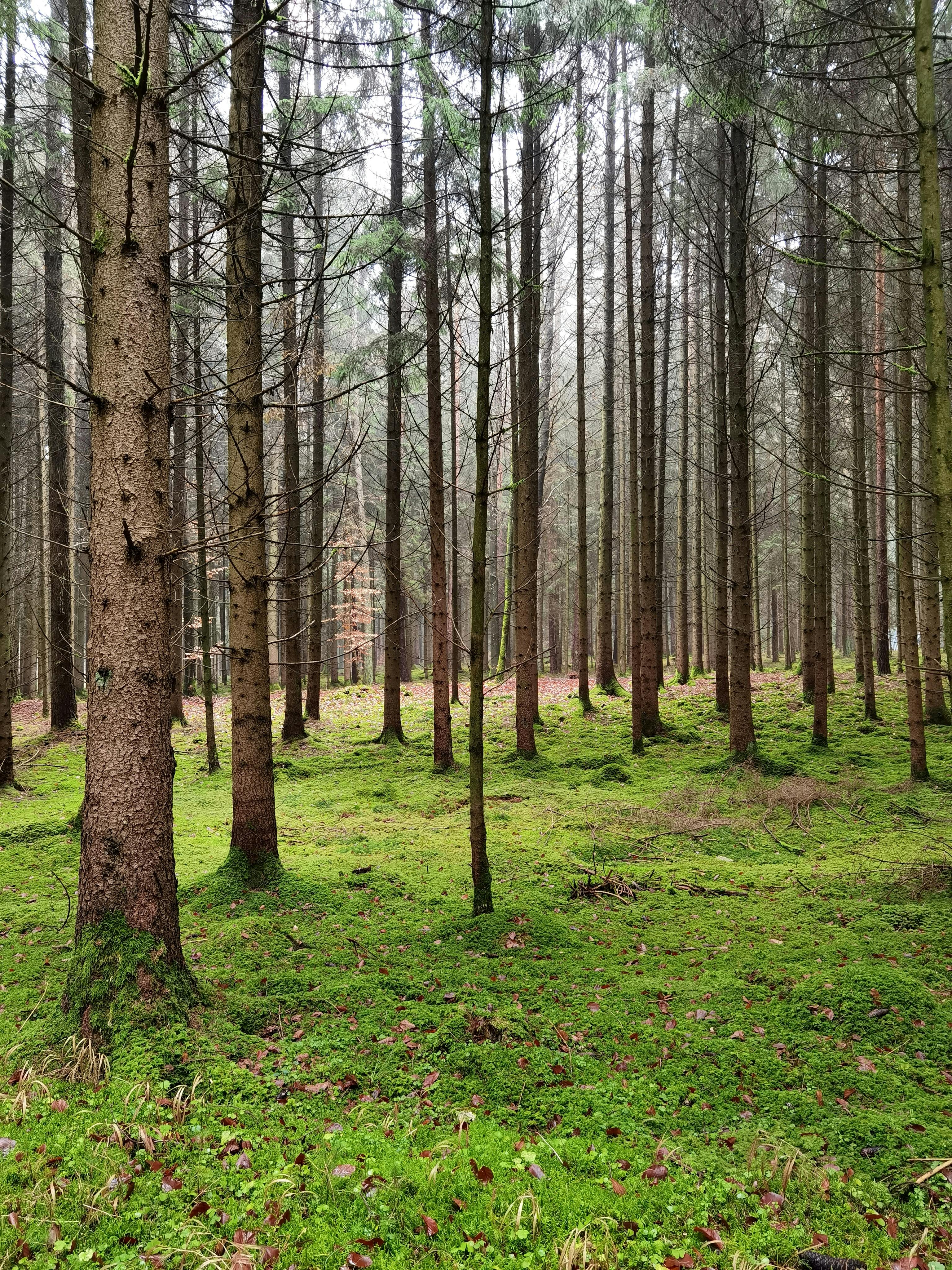 Air+Foltration Photos, Download The BEST Free Air+Foltration Stock ...