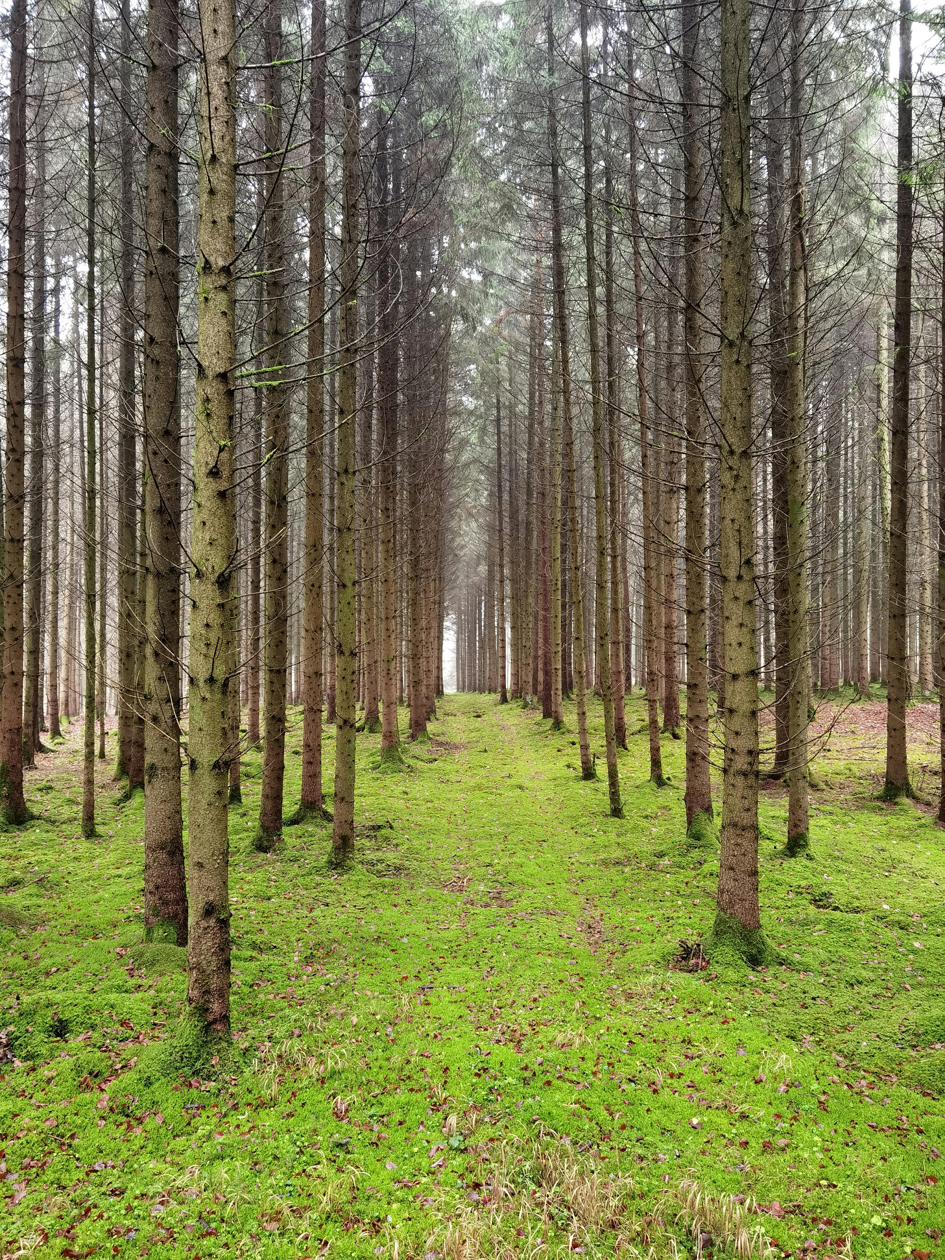 Air+Foltration Photos, Download The BEST Free Air+Foltration Stock ...