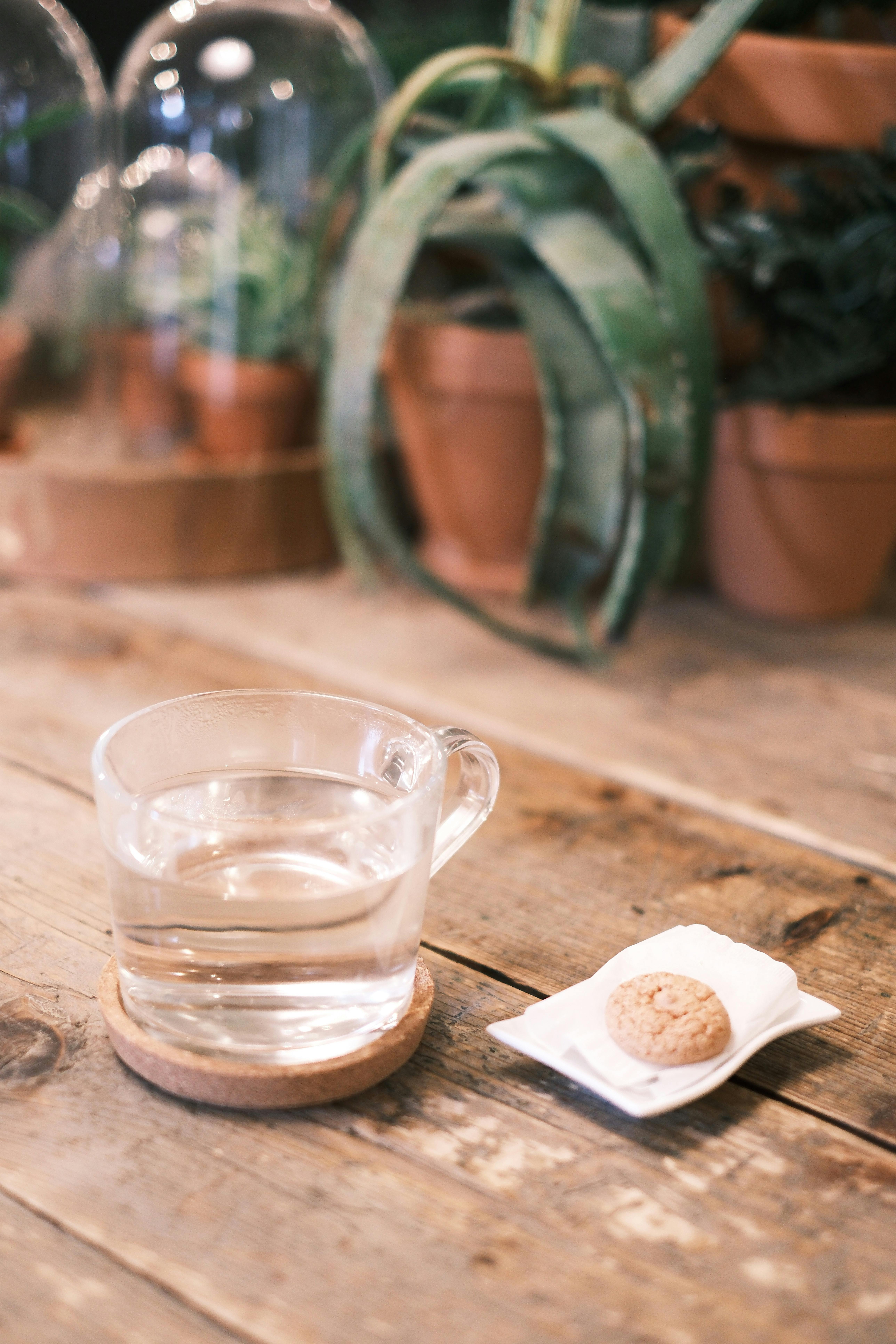 File+On+Table Photos, Download The BEST Free File+On+Table Stock Photos ...