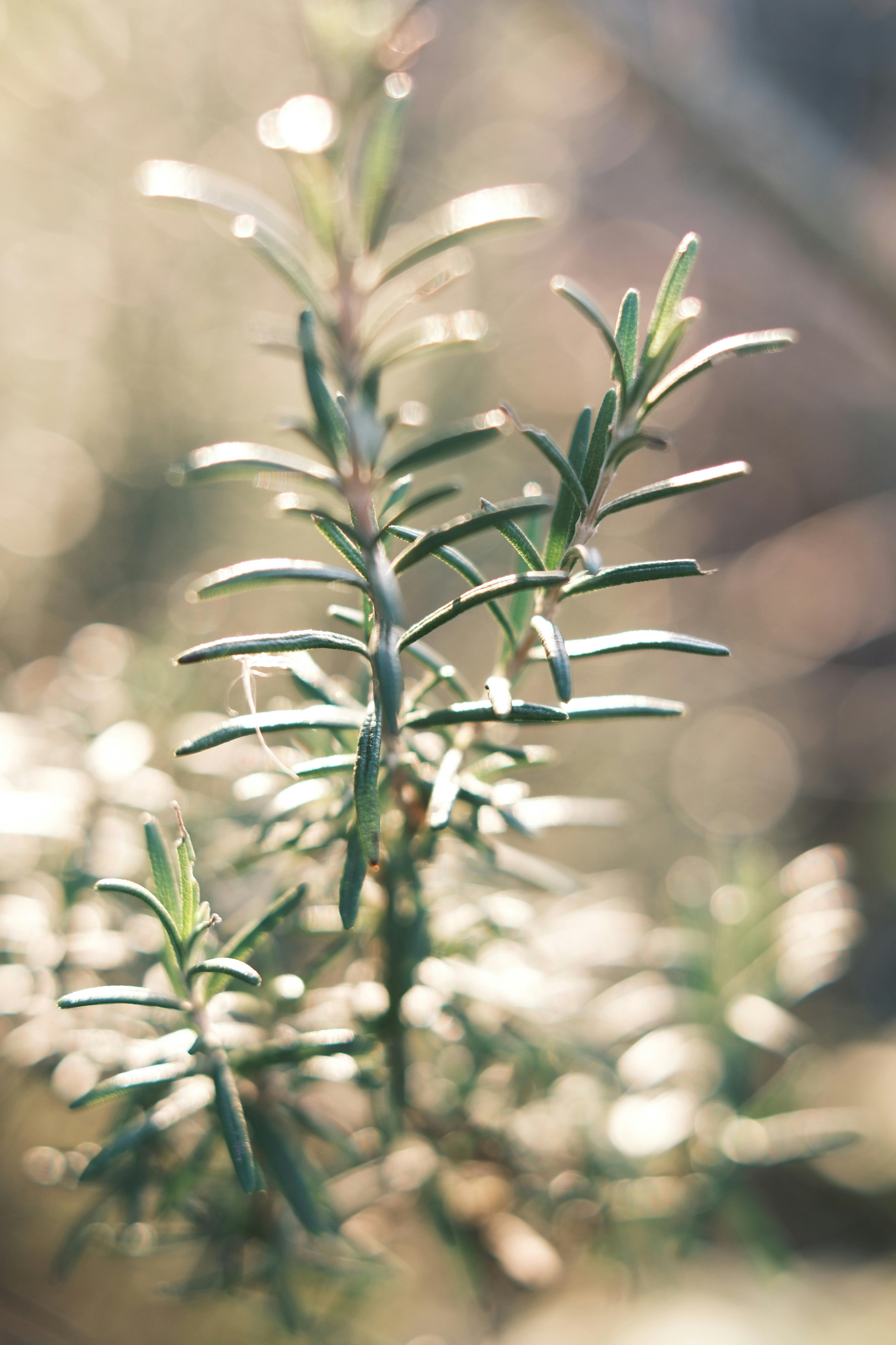 Air+Foltration Photos, Download The BEST Free Air+Foltration Stock ...