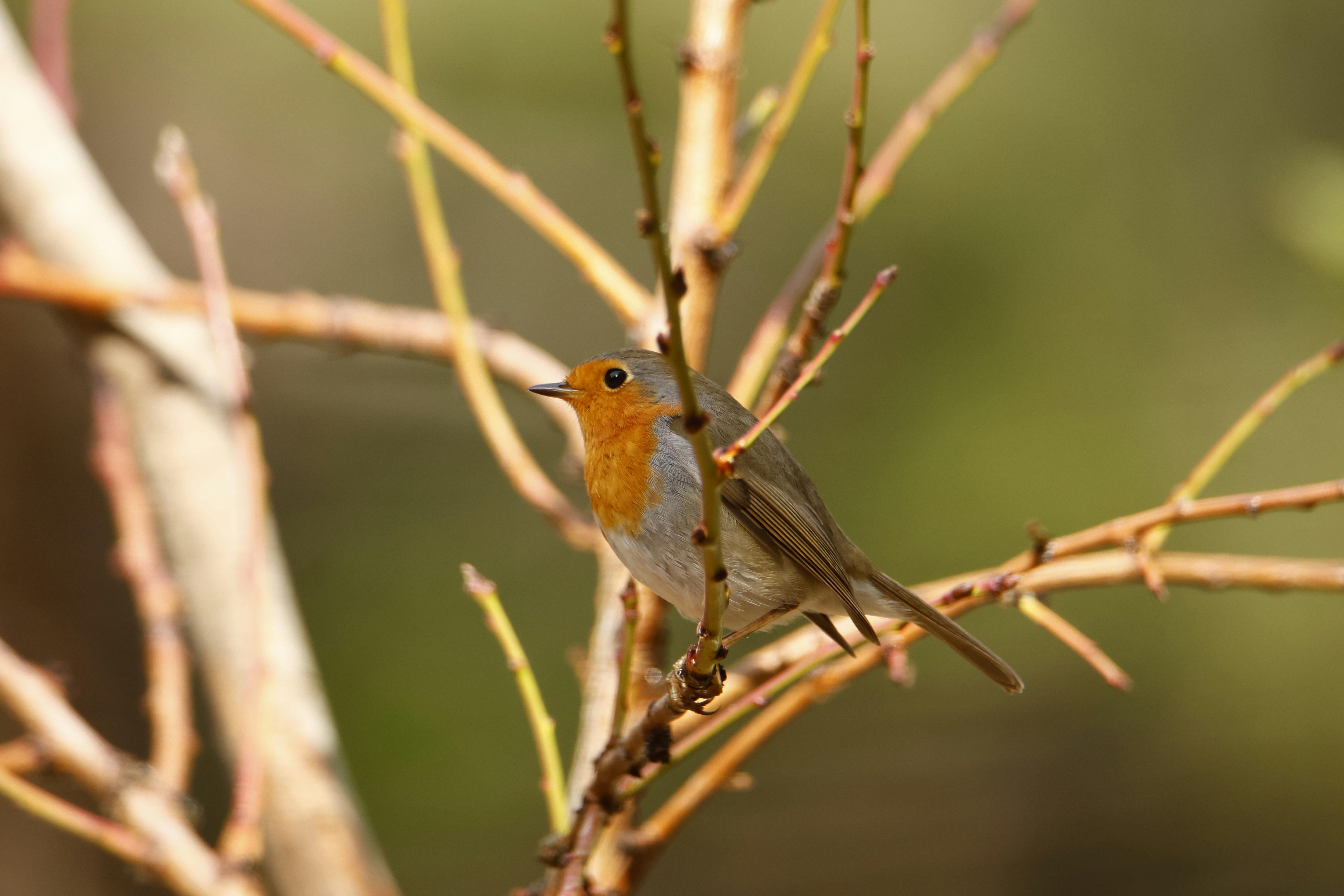 Websites+Like+Serialgo.Tv Photos, Download The BEST Free Websites+Like ...