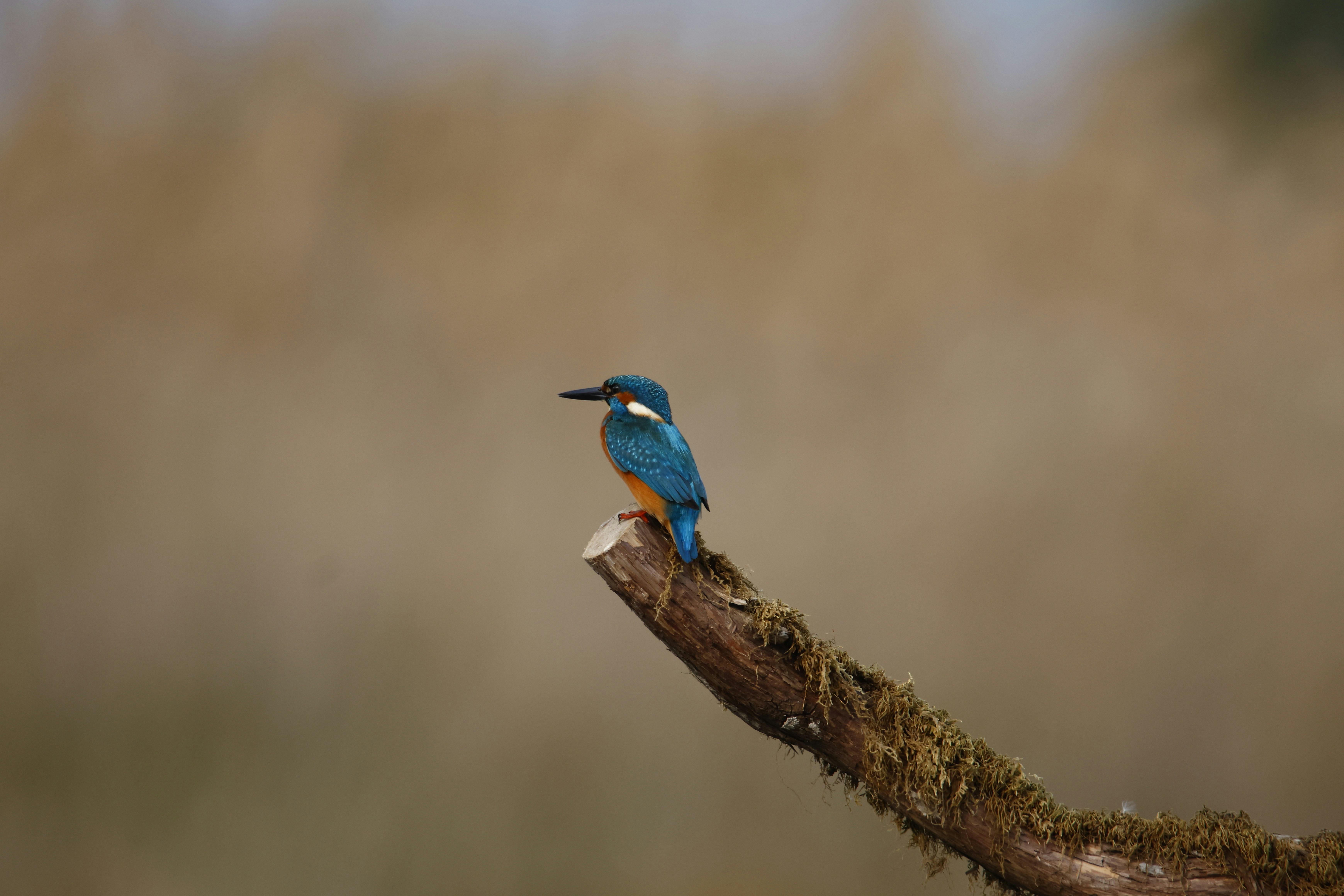 Worlds+Highi Photos, Download The BEST Free Worlds+Highi Stock Photos ...