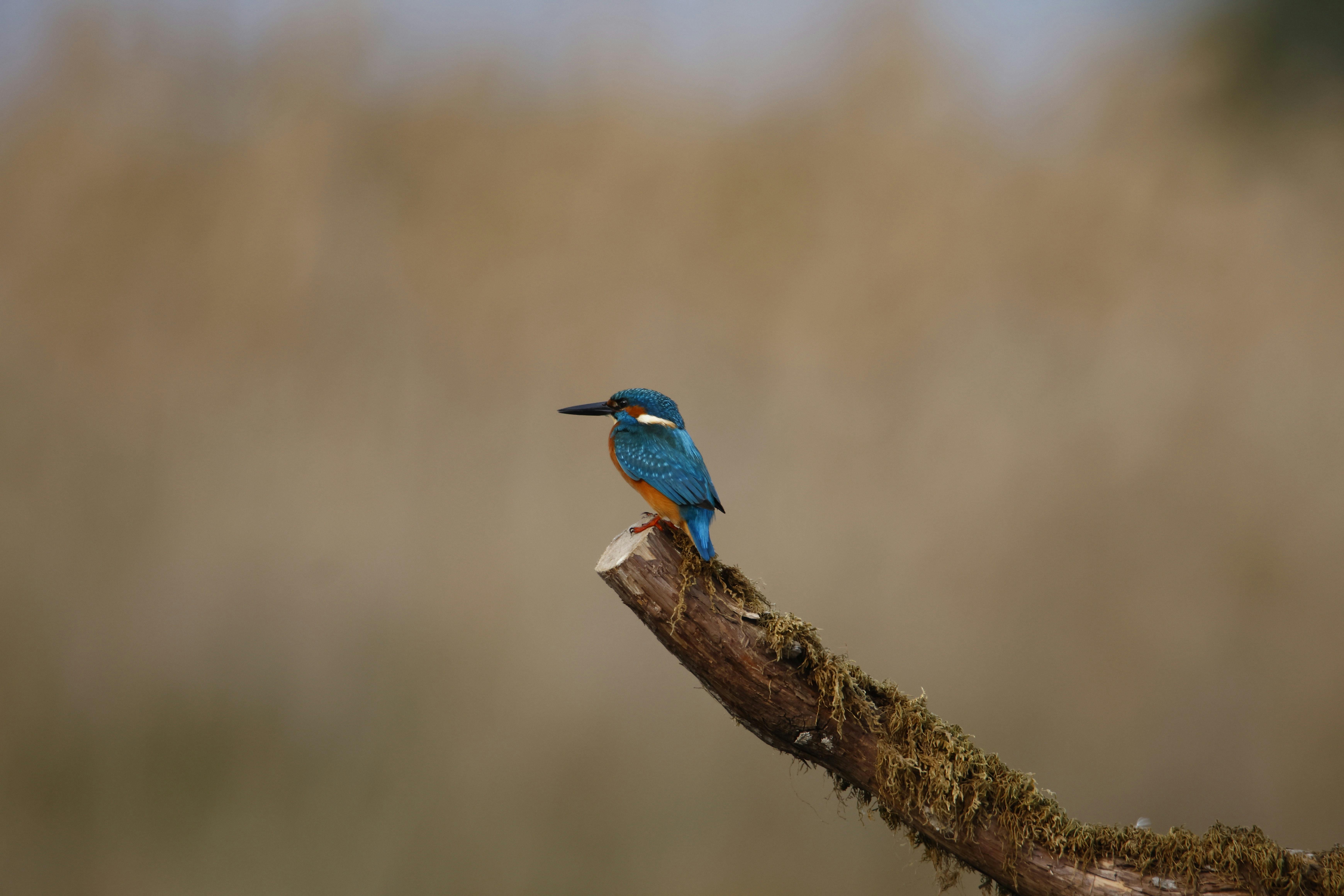 Worlds+Highi Photos, Download The BEST Free Worlds+Highi Stock Photos ...