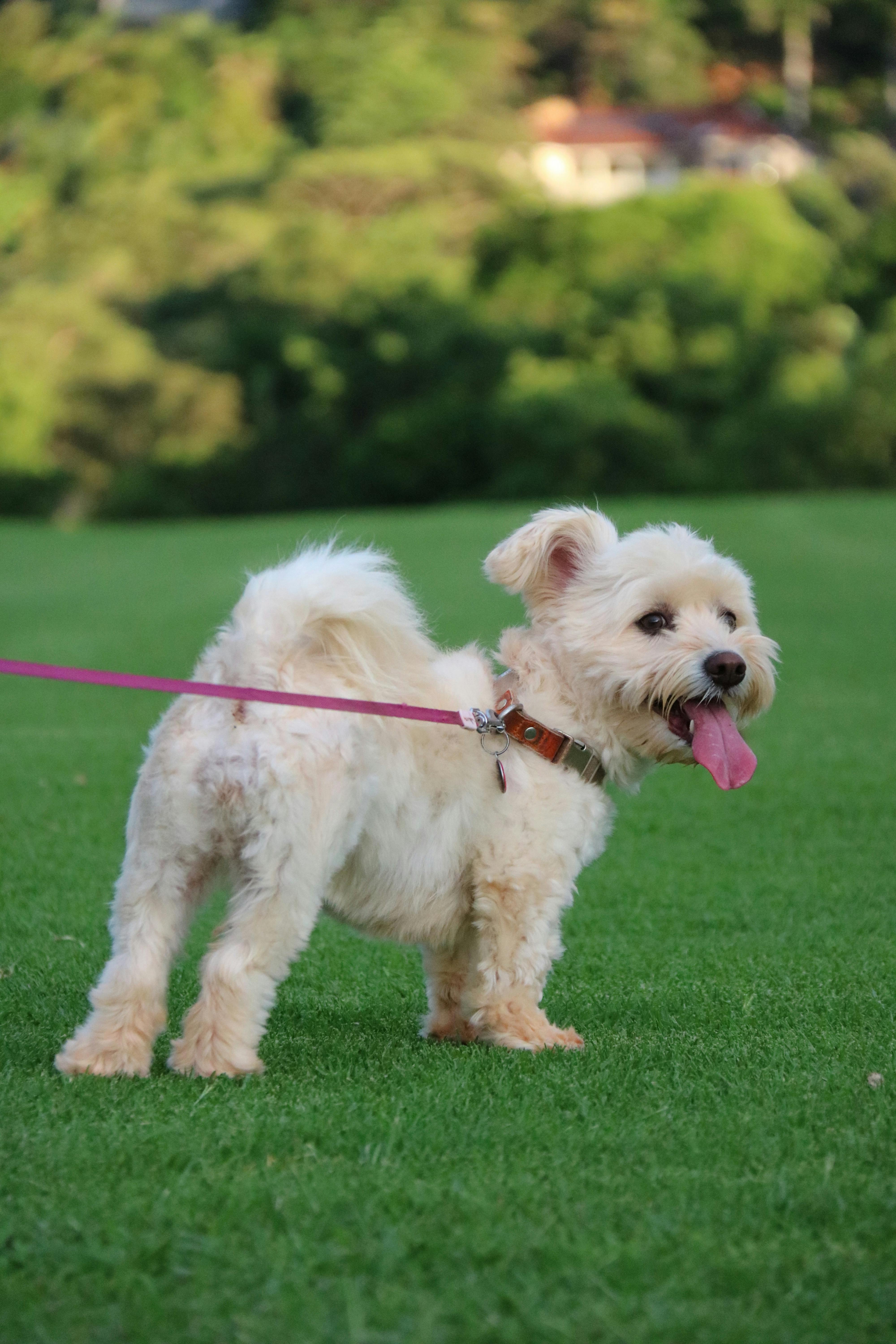 Best+Internet+Ads Photos, Download The BEST Free Best+Internet+Ads ...