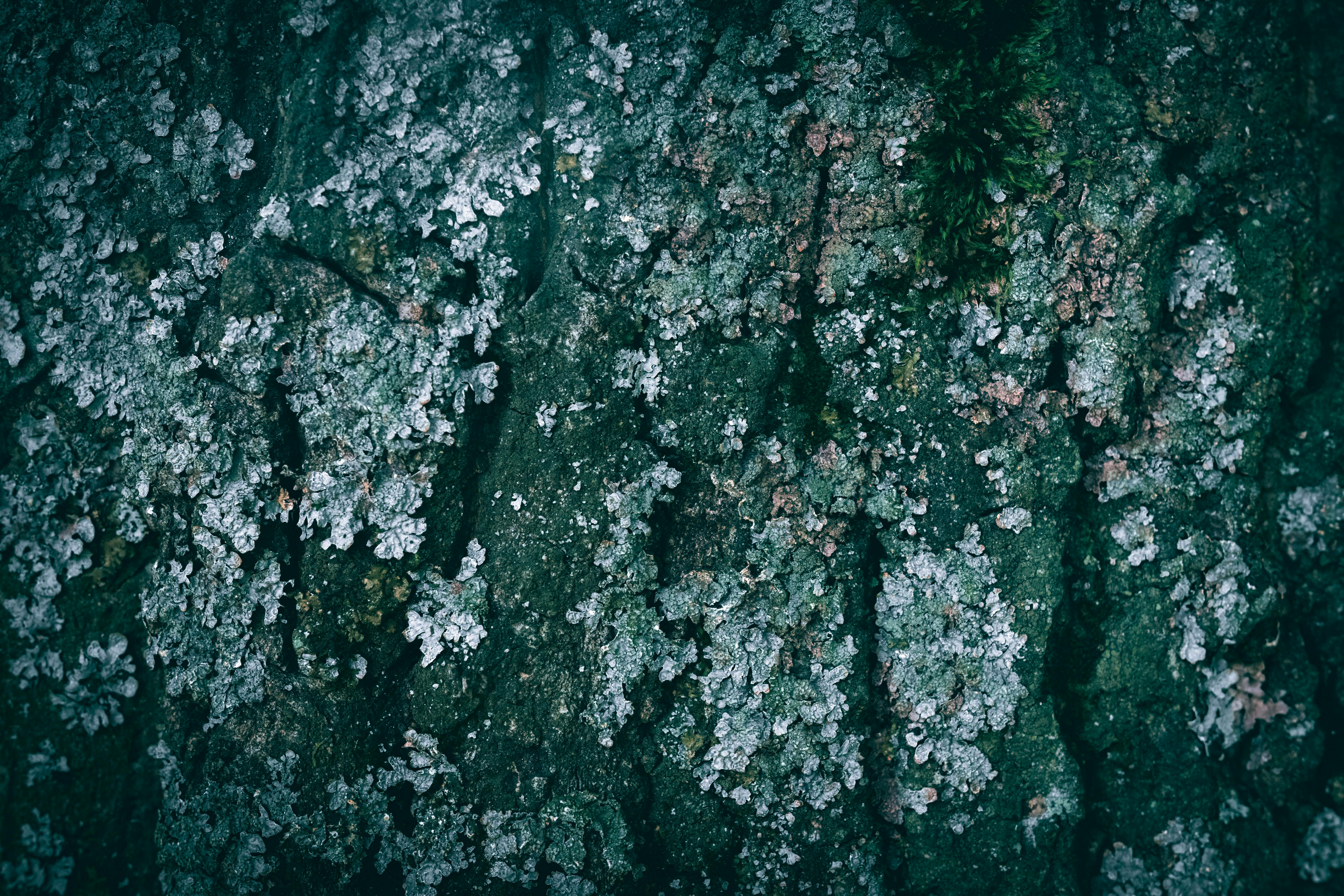 Dark Grey Backgound Photos, Download The BEST Free Dark Grey Backgound ...