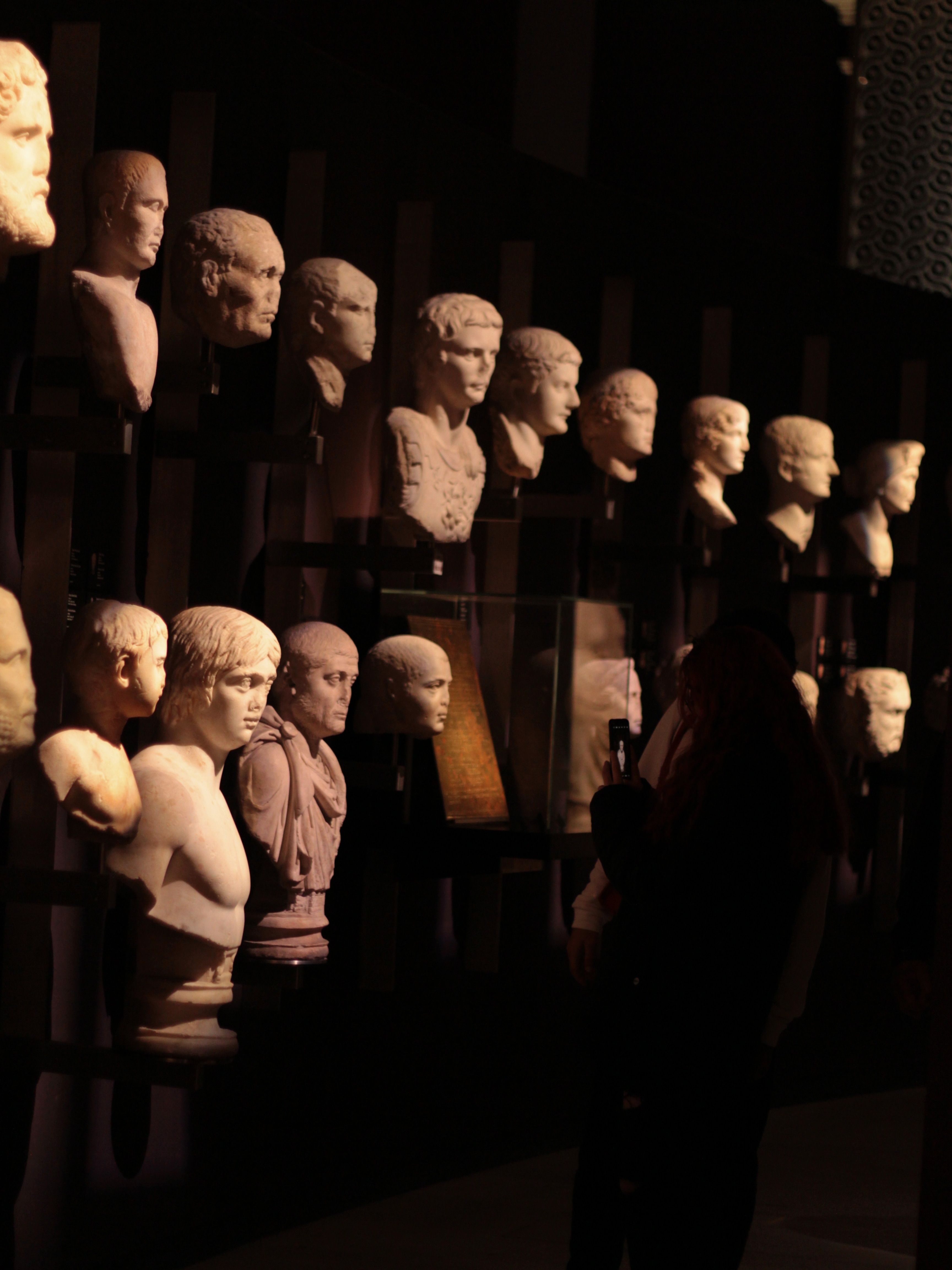 Historic Marble Busts in Museum Display · Free Stock Photo