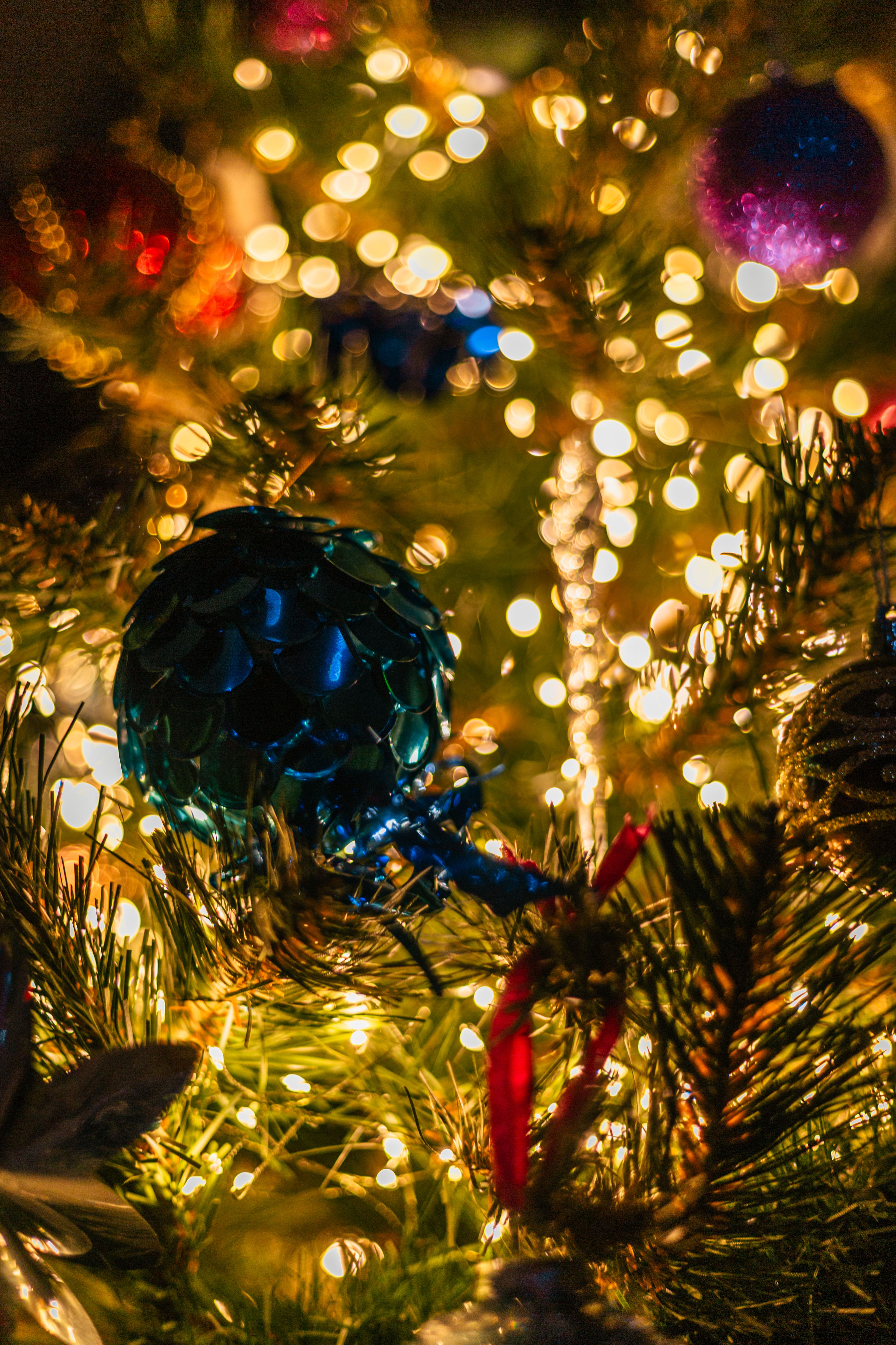 Assorted Ornaments on Christmas Tree · Free Stock Photo