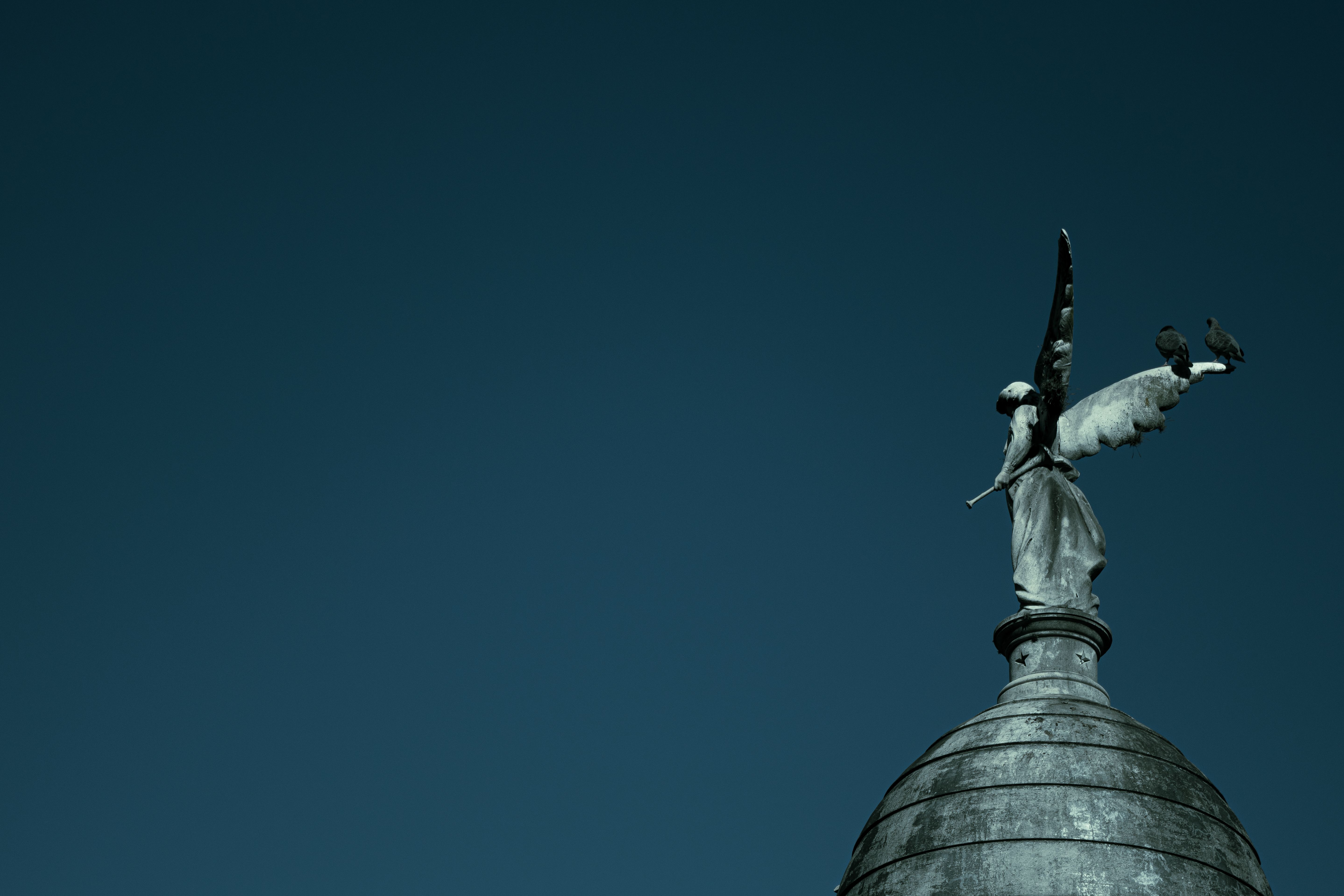 Legacy Photos, Download The BEST Free Legacy Stock Photos & HD Images