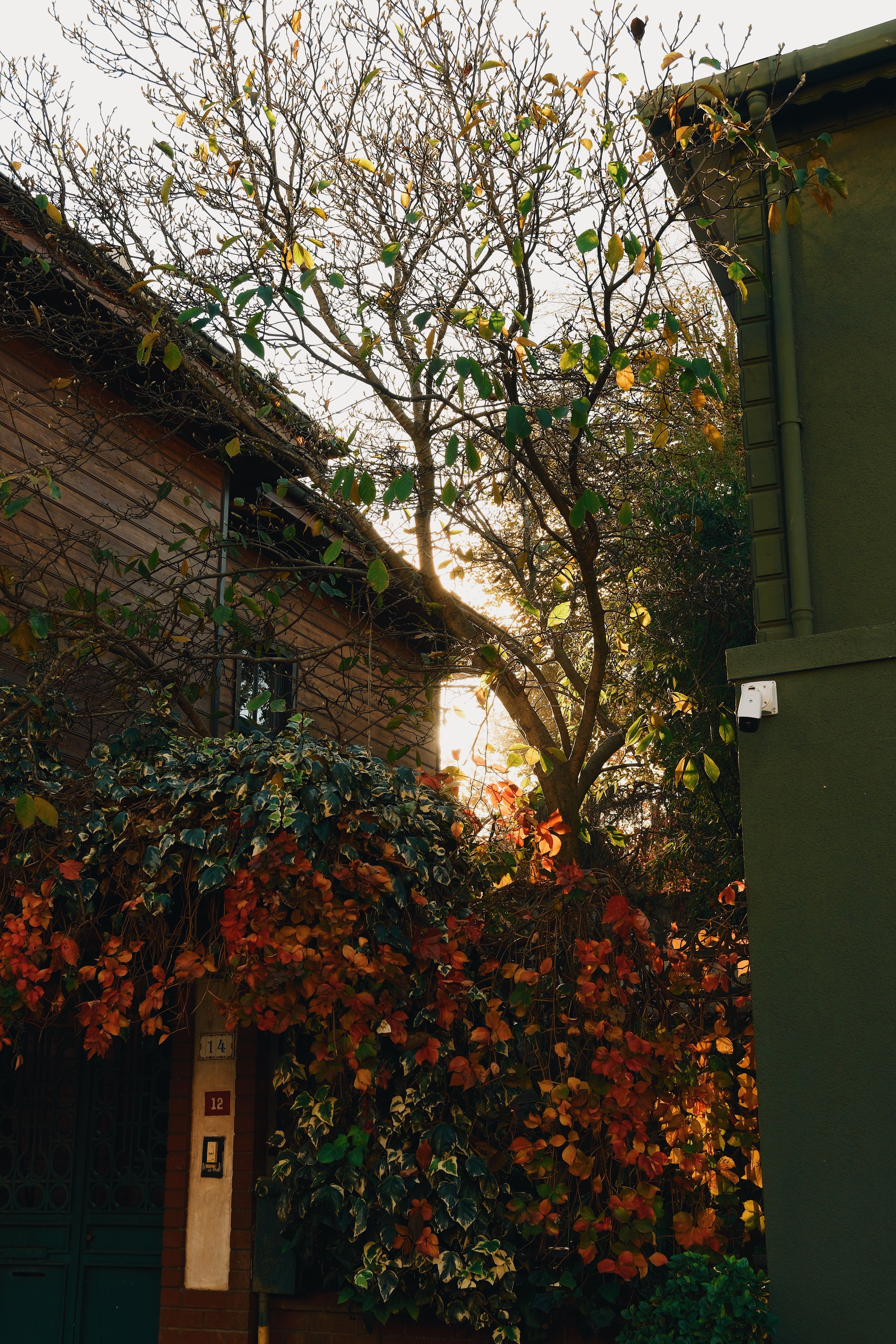 Charming Rustic Gate with Moss-Covered Roof · Free Stock Photo