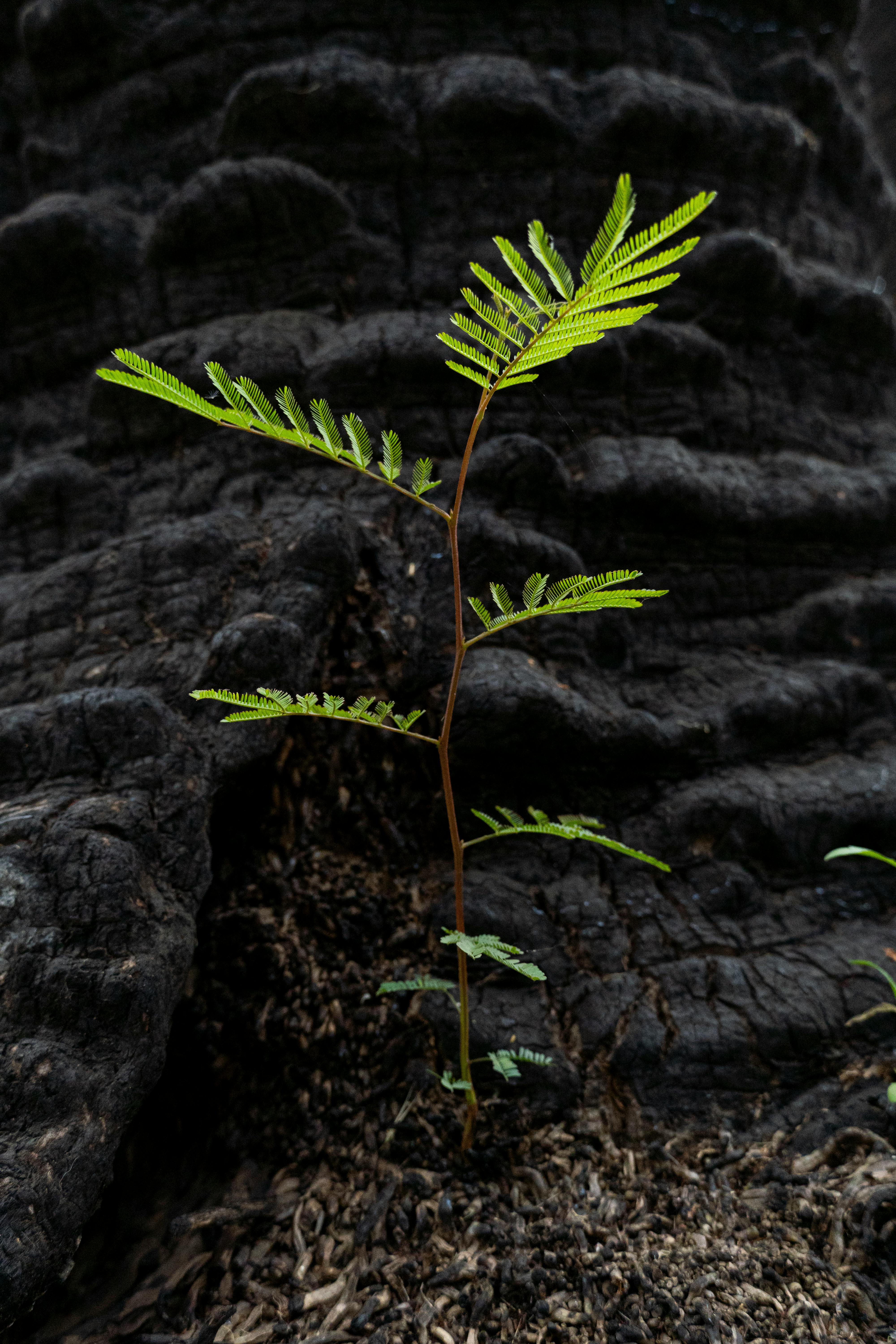 Wife+Before+And+After+Married Photos, Download The BEST Free Wife ...