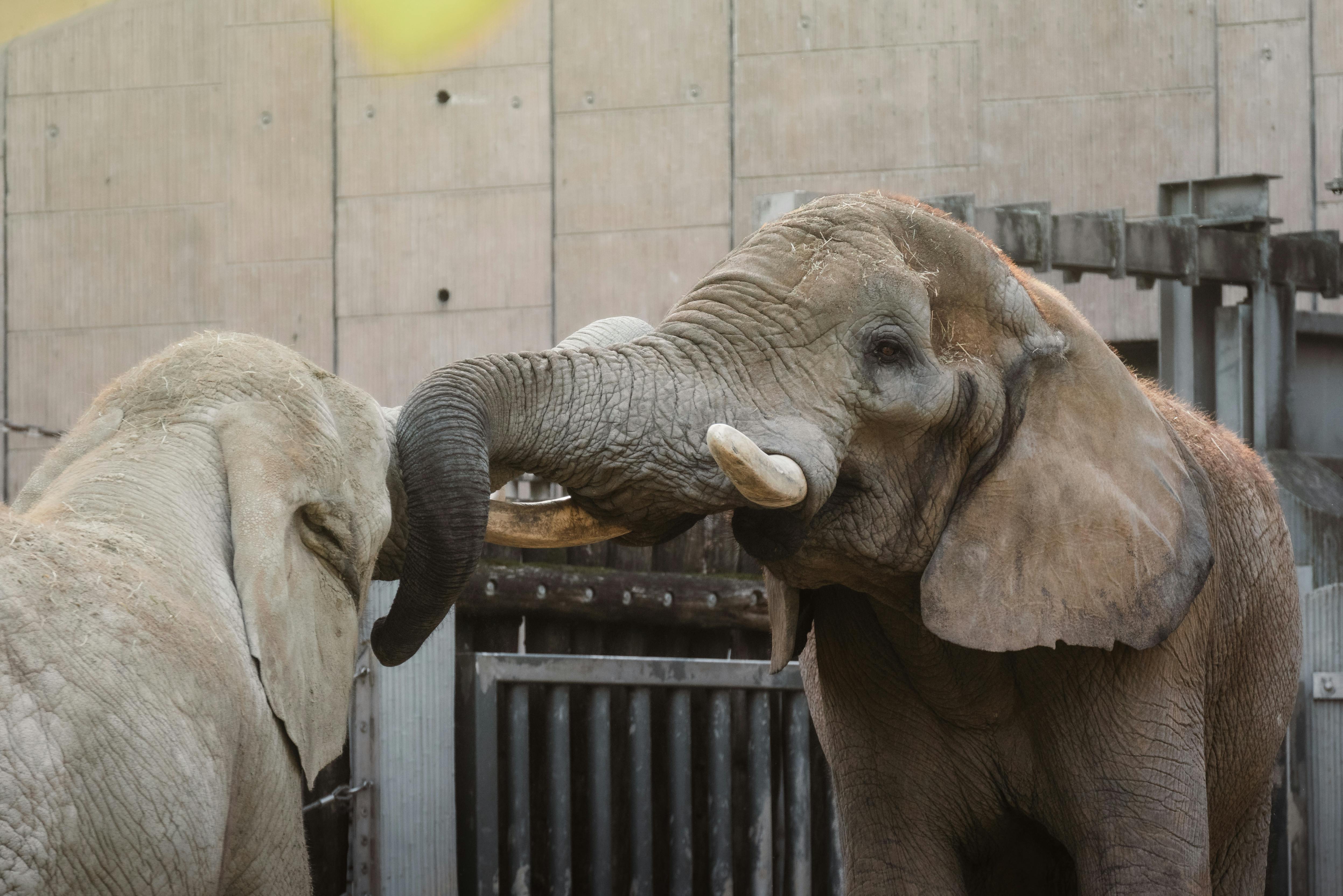 Picture+27.12.2025 Photos, Download The BEST Free Picture+27.12.2025 ...