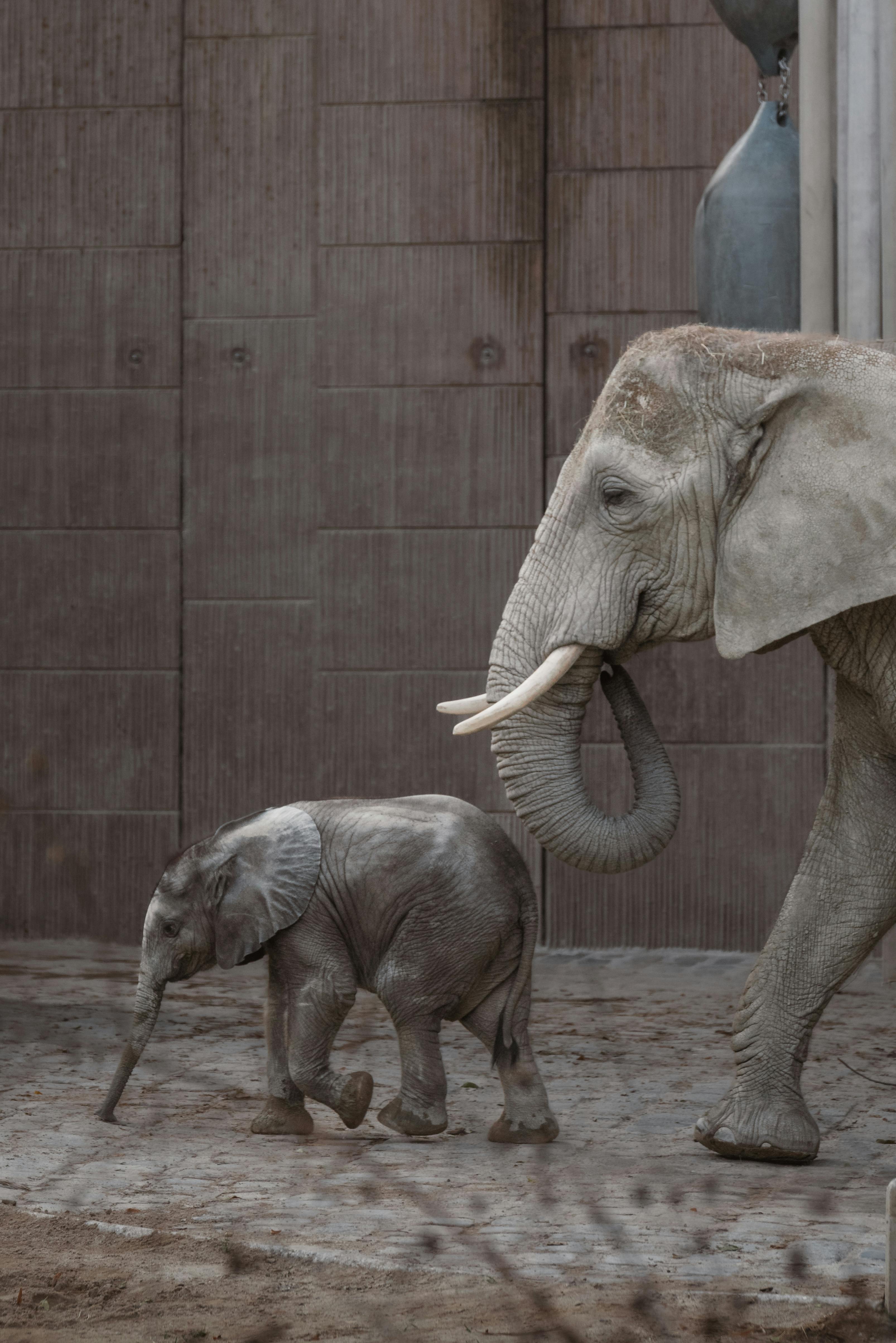 Lock Screen Wallpaper For Winows Photos, Download The BEST Free Lock ...