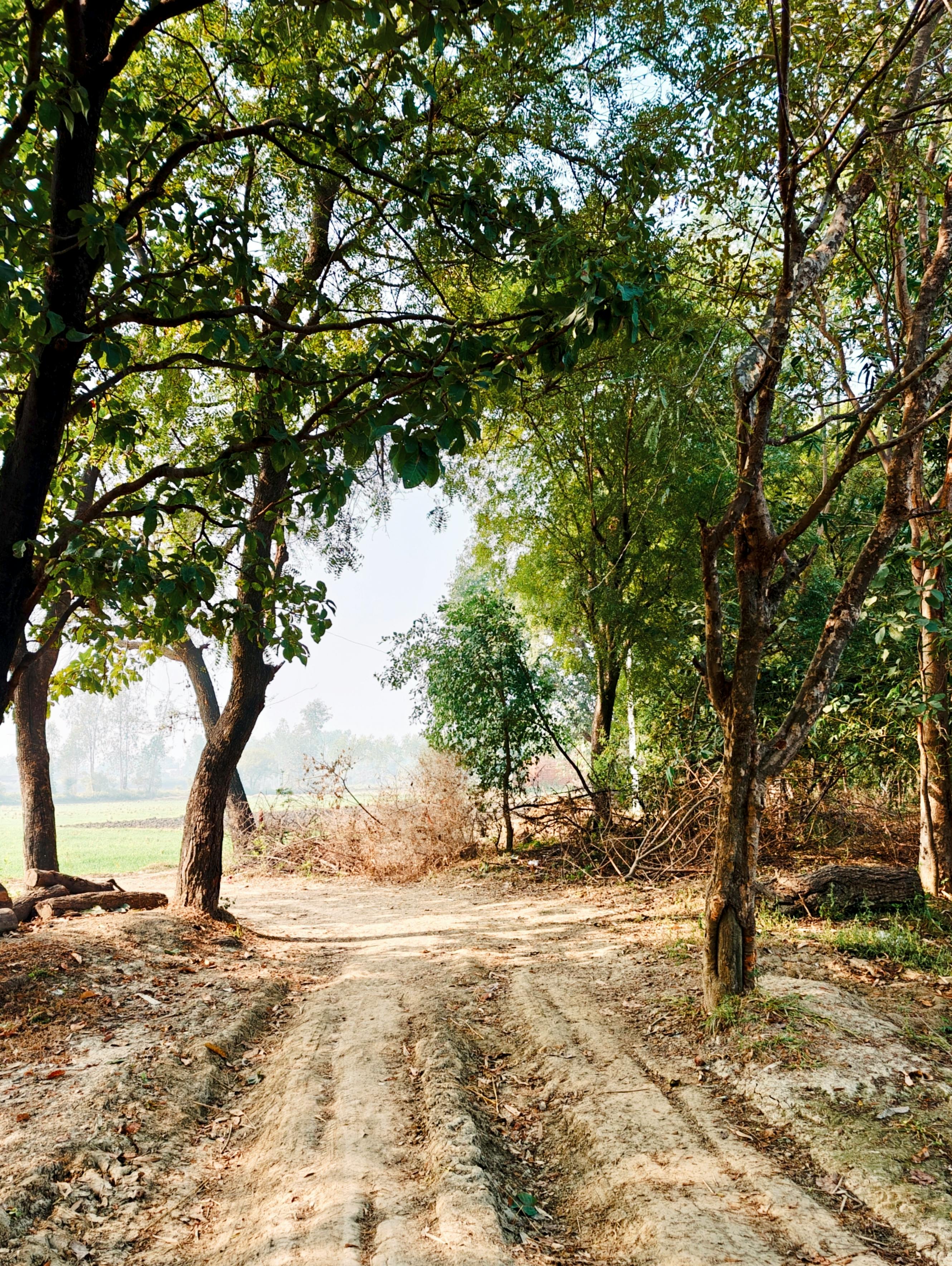 80.676+ Fotos y Imágenes de Bokep+smp+india Gratis · Banco de Fotos Gratis