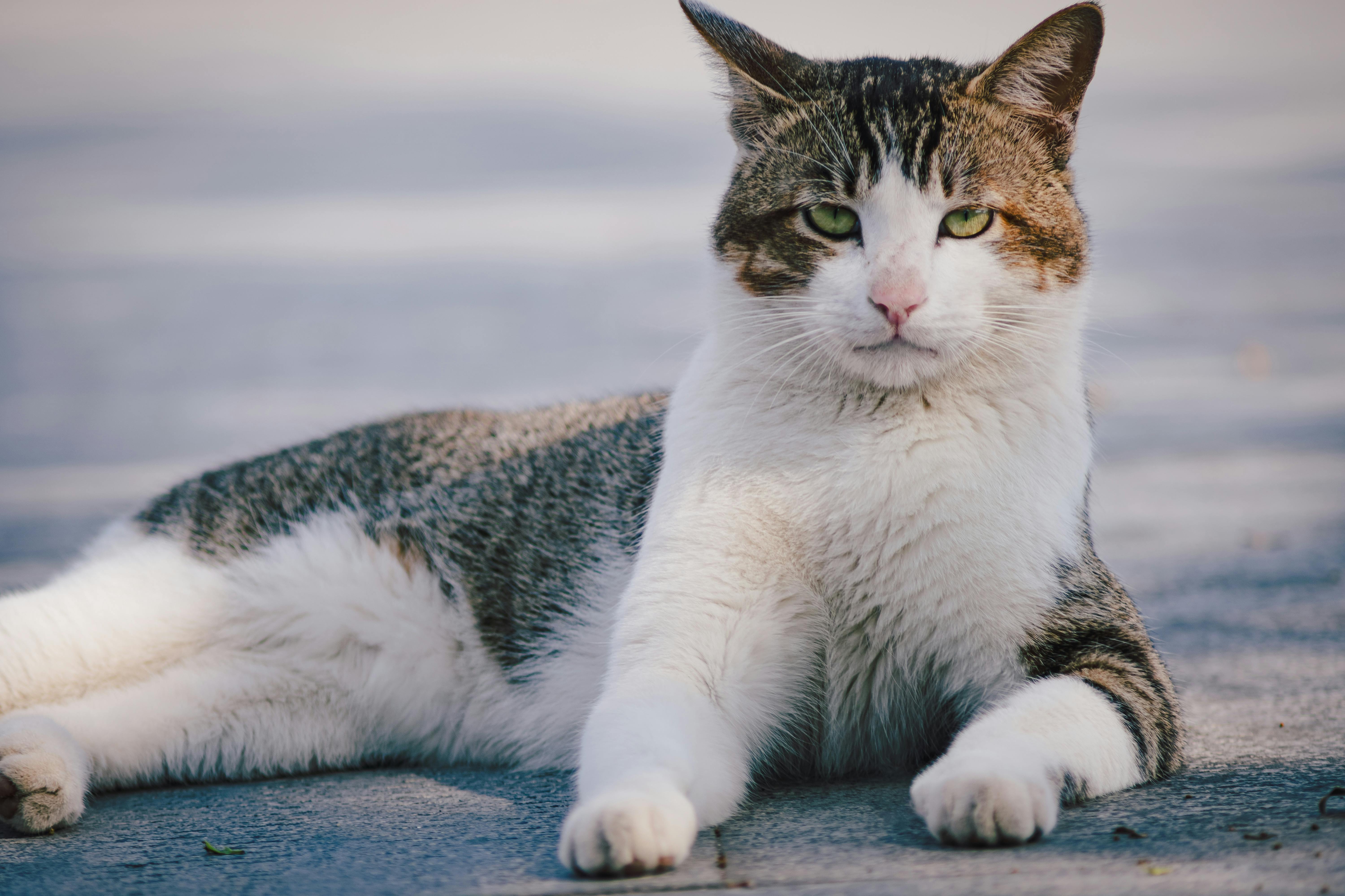 Cute+Nn+Jb+Girls Photos, Download The BEST Free Cute+Nn+Jb+Girls Stock ...