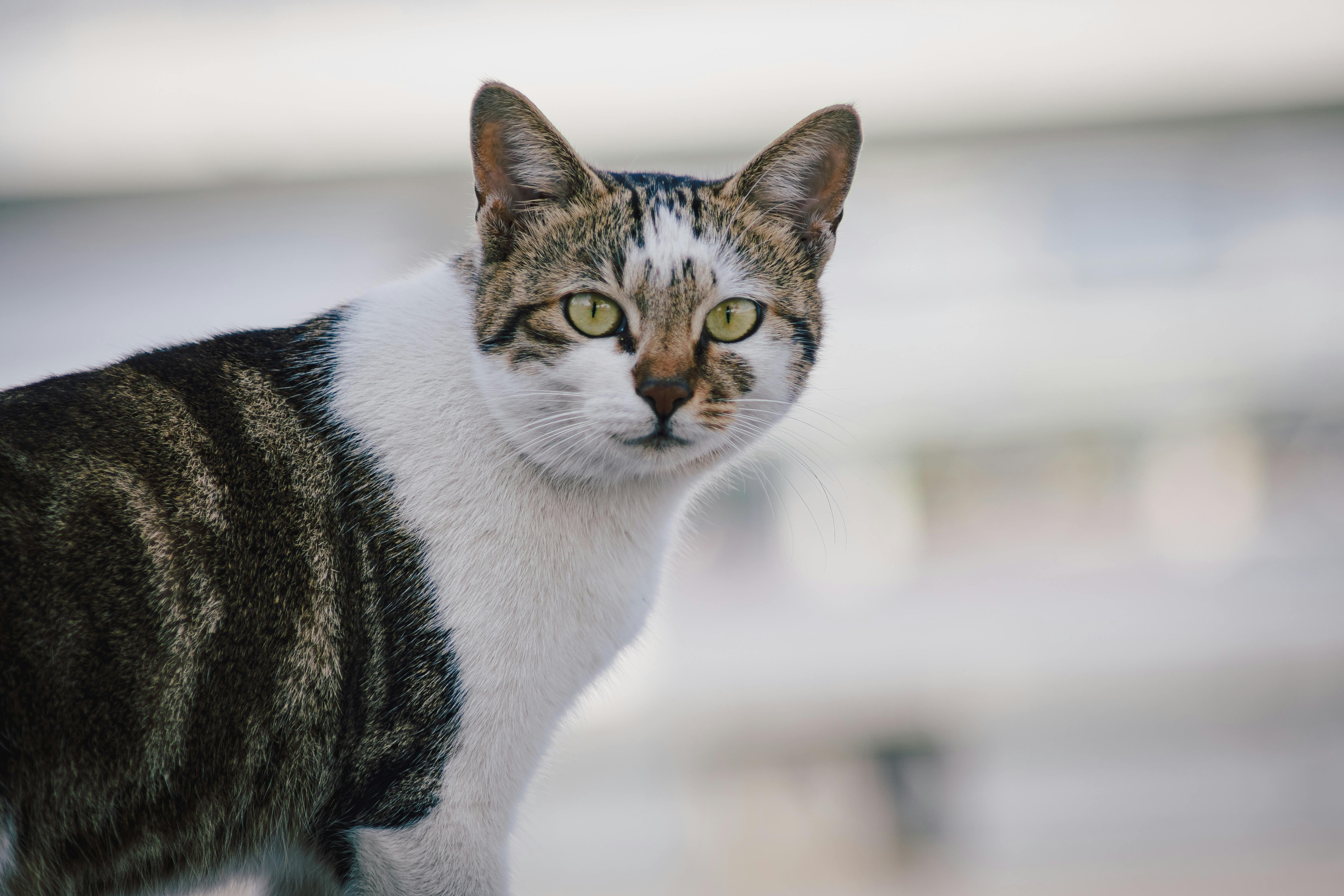 Cute+Nn+Jb+Girls Photos, Download The BEST Free Cute+Nn+Jb+Girls Stock ...