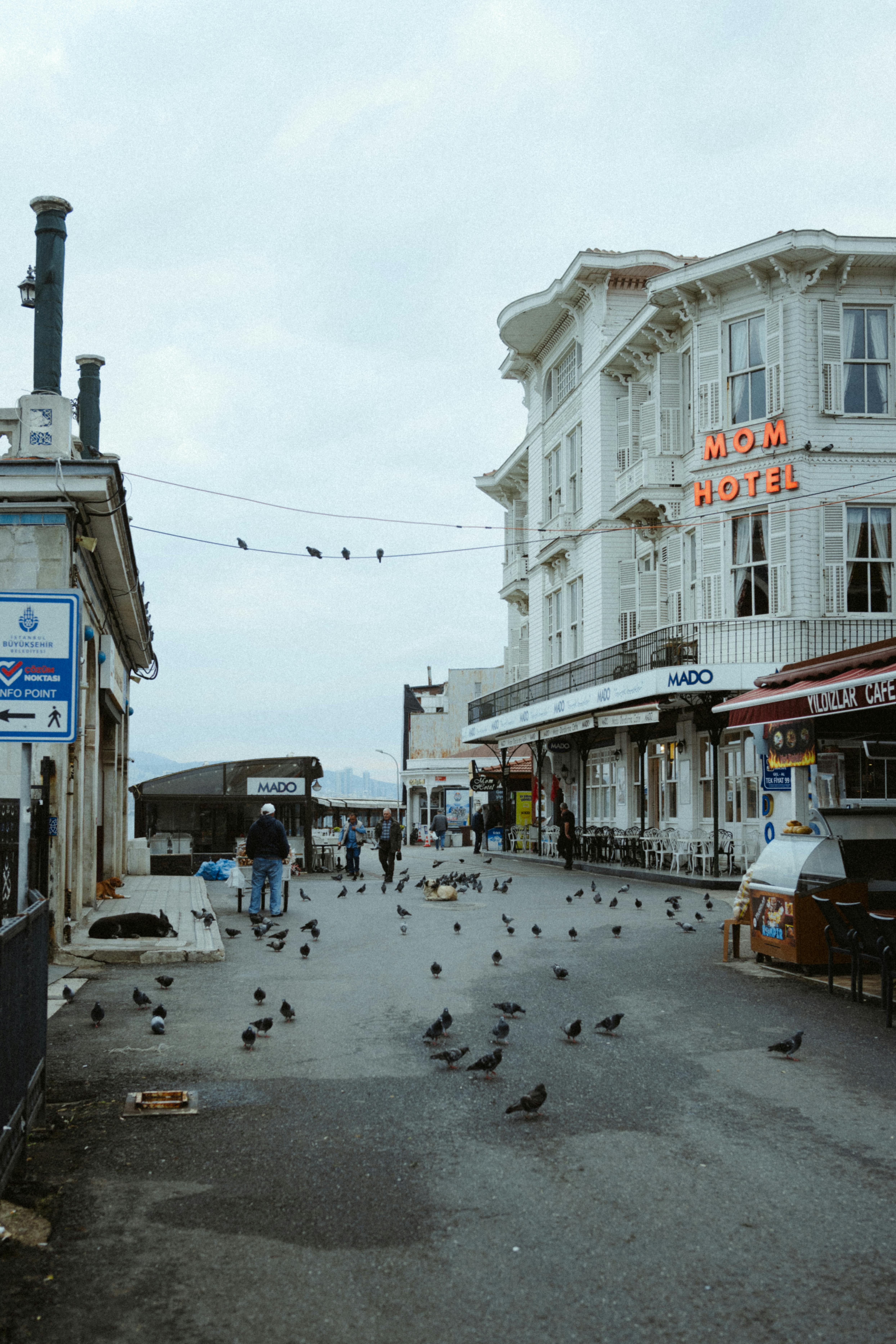 Human Autopsy Photos, Download The BEST Free Human Autopsy Stock Photos ...