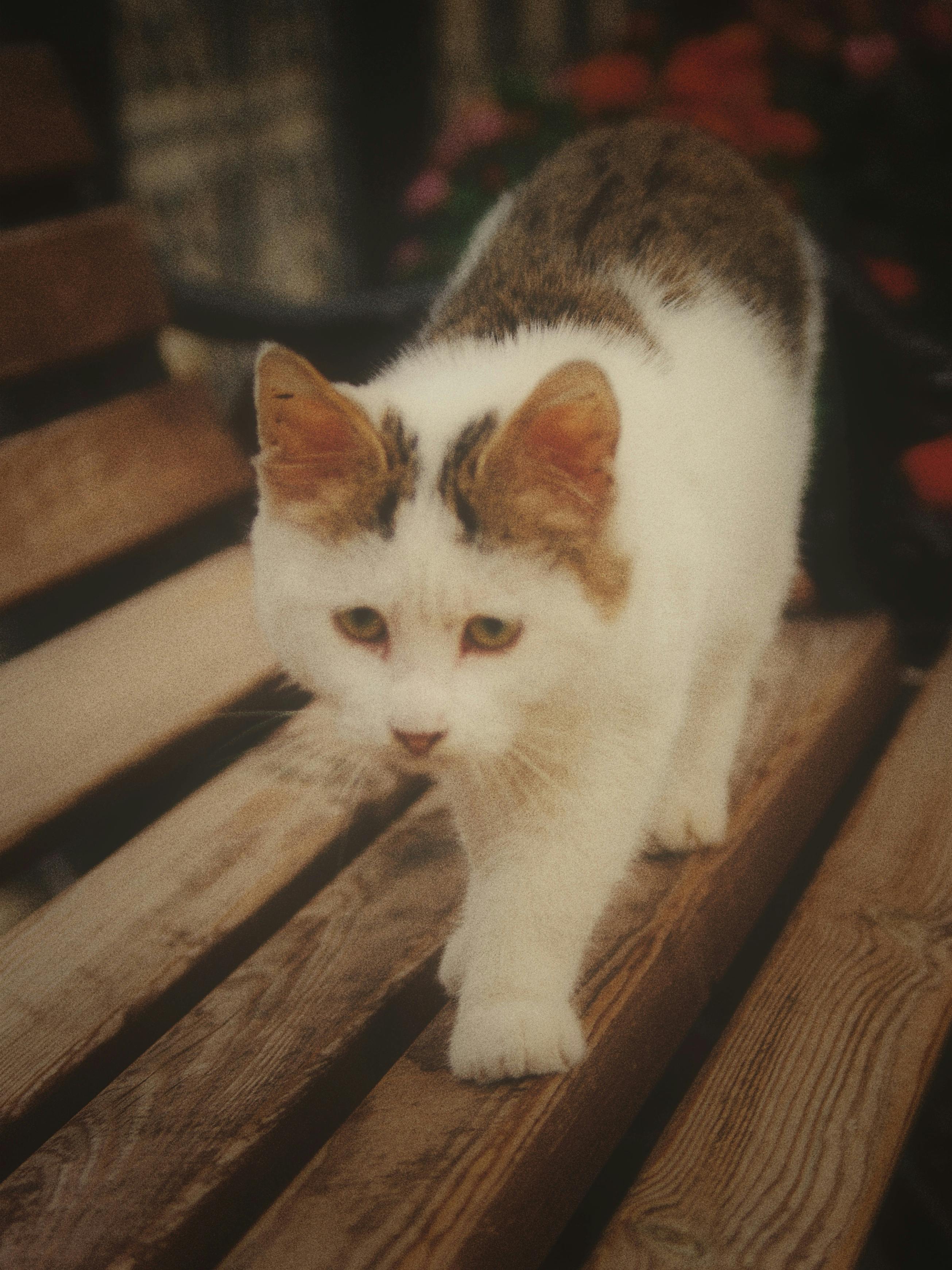 Square+Registration+Marks Photos, Download The BEST Free Square ...