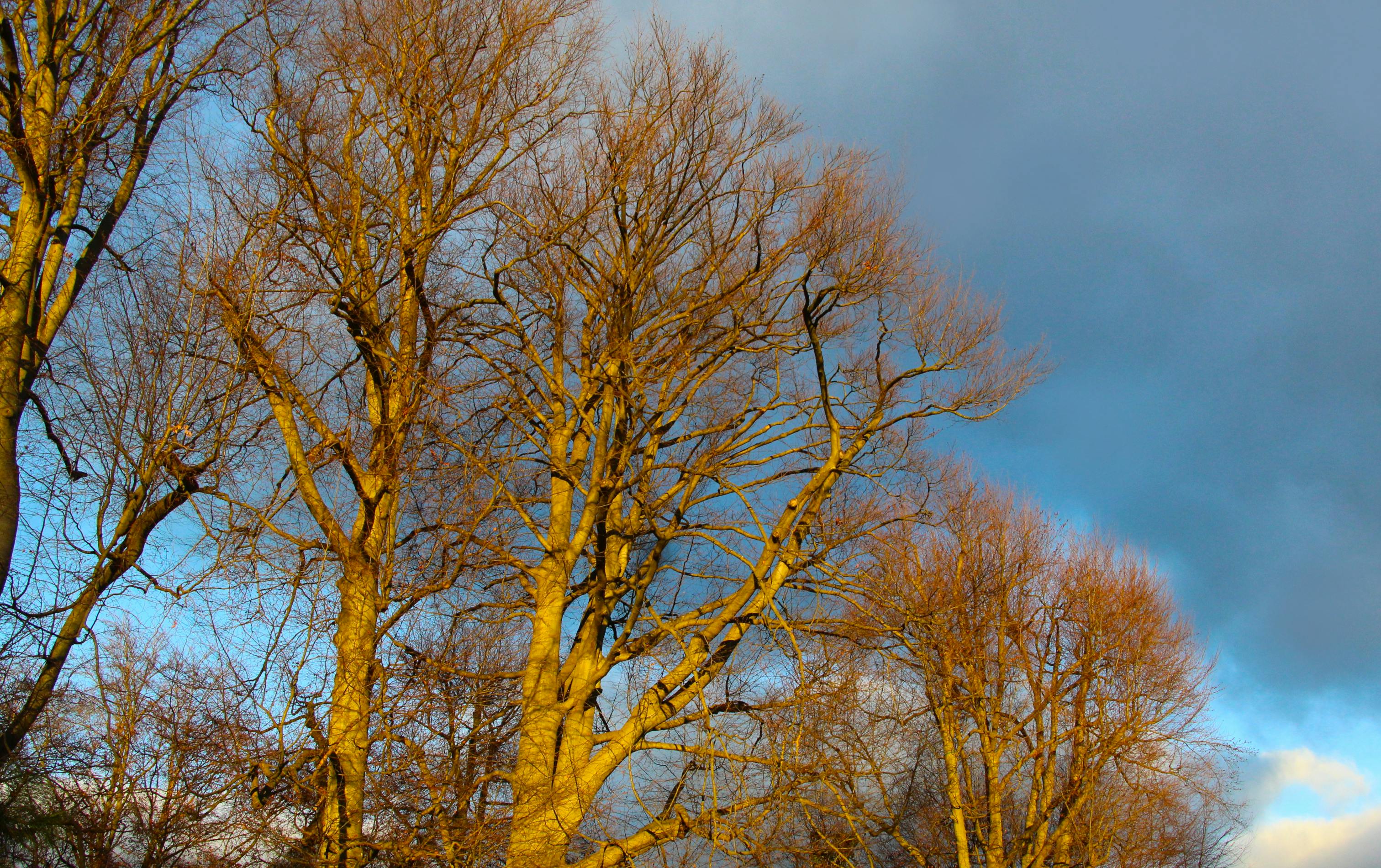 Bokep+Body+Glow+Al Photos, Download The BEST Free Bokep+Body+Glow+Al Stock Photos & HD Images