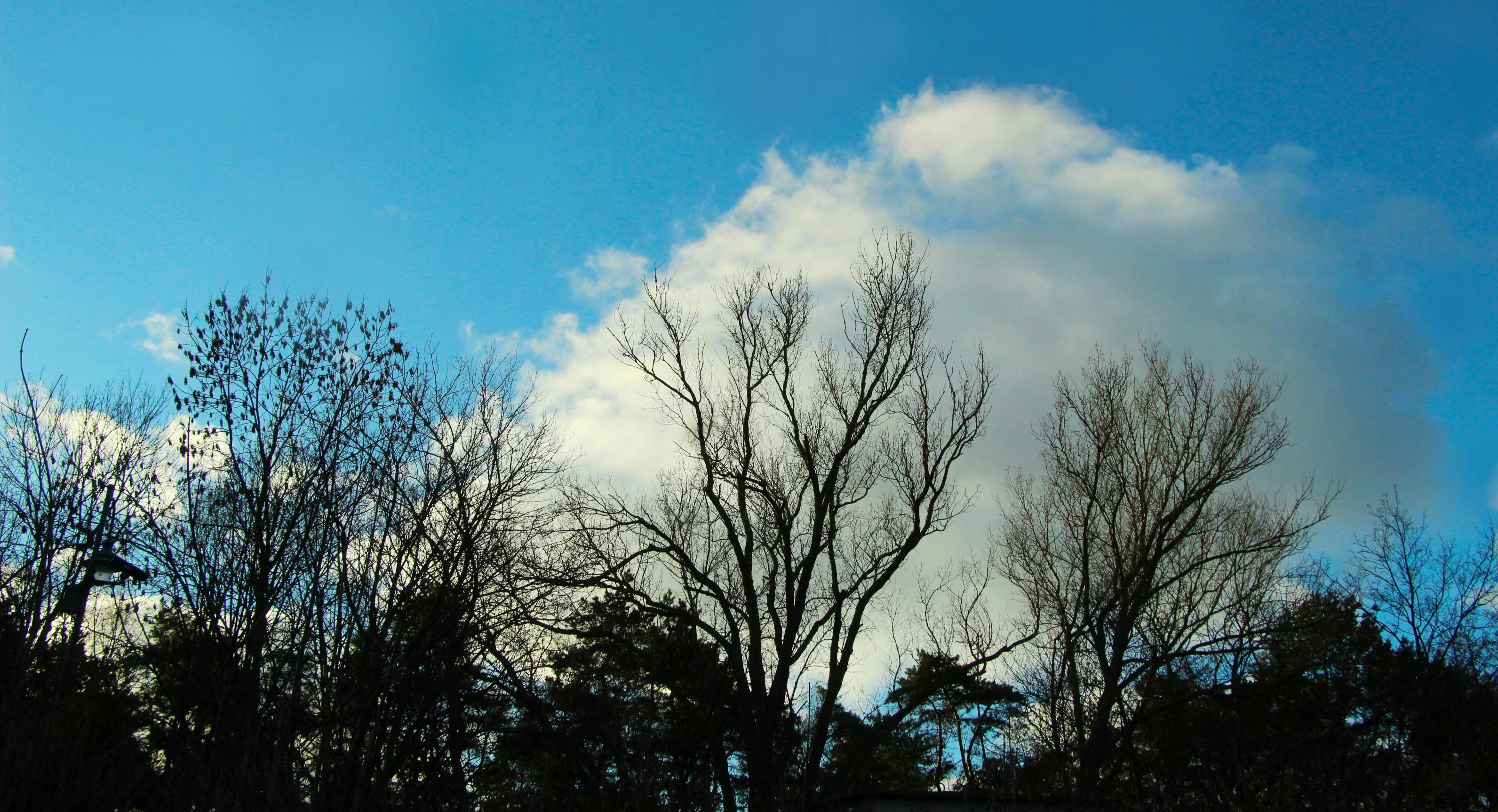 Freee+File+Opener Photos, Download The BEST Free Freee+File+Opener ...