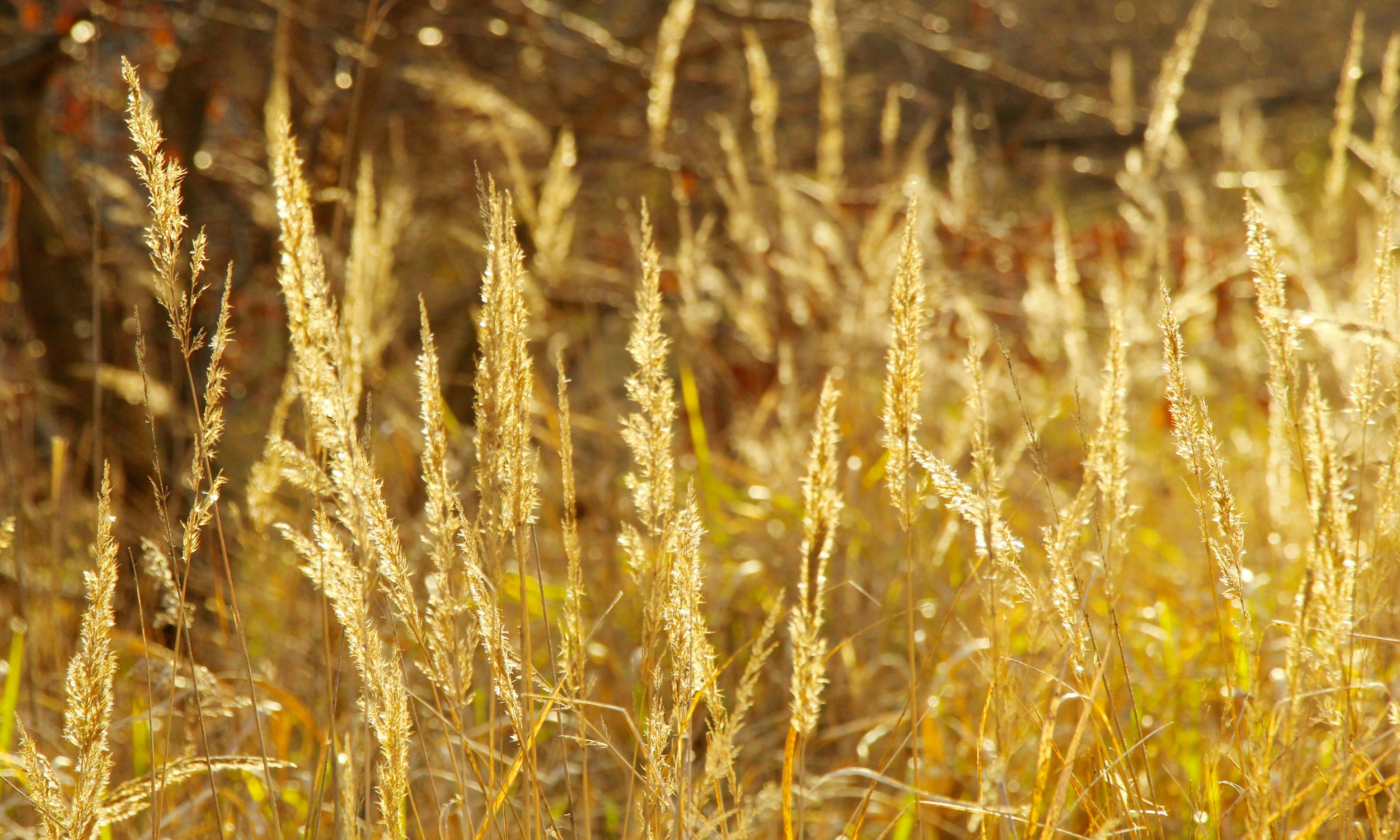 Websites+Like+Serialgo.Tv Photos, Download The BEST Free Websites+Like ...