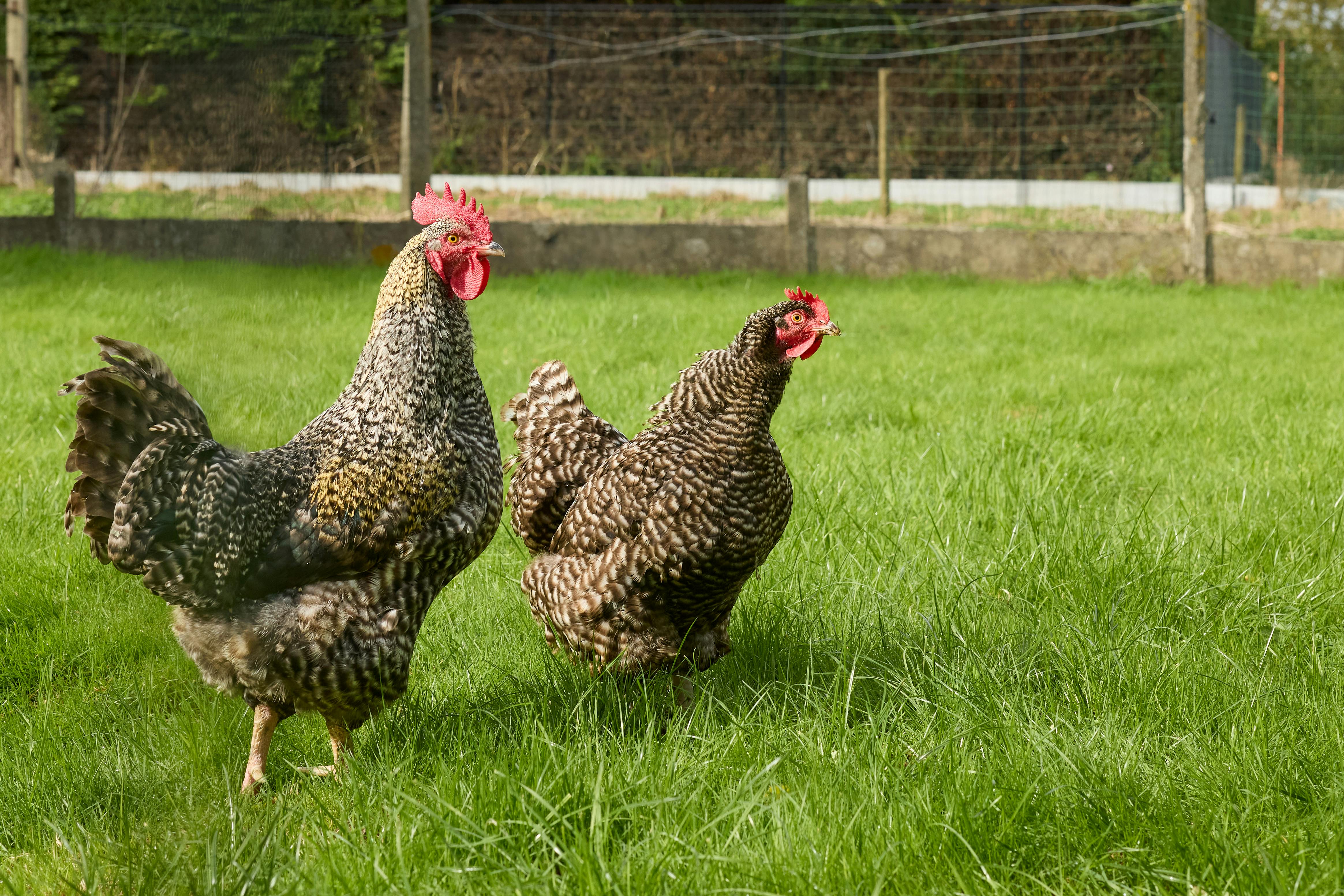 Free+Manyvids+Account Photos, Download The BEST Free Free+Manyvids ...