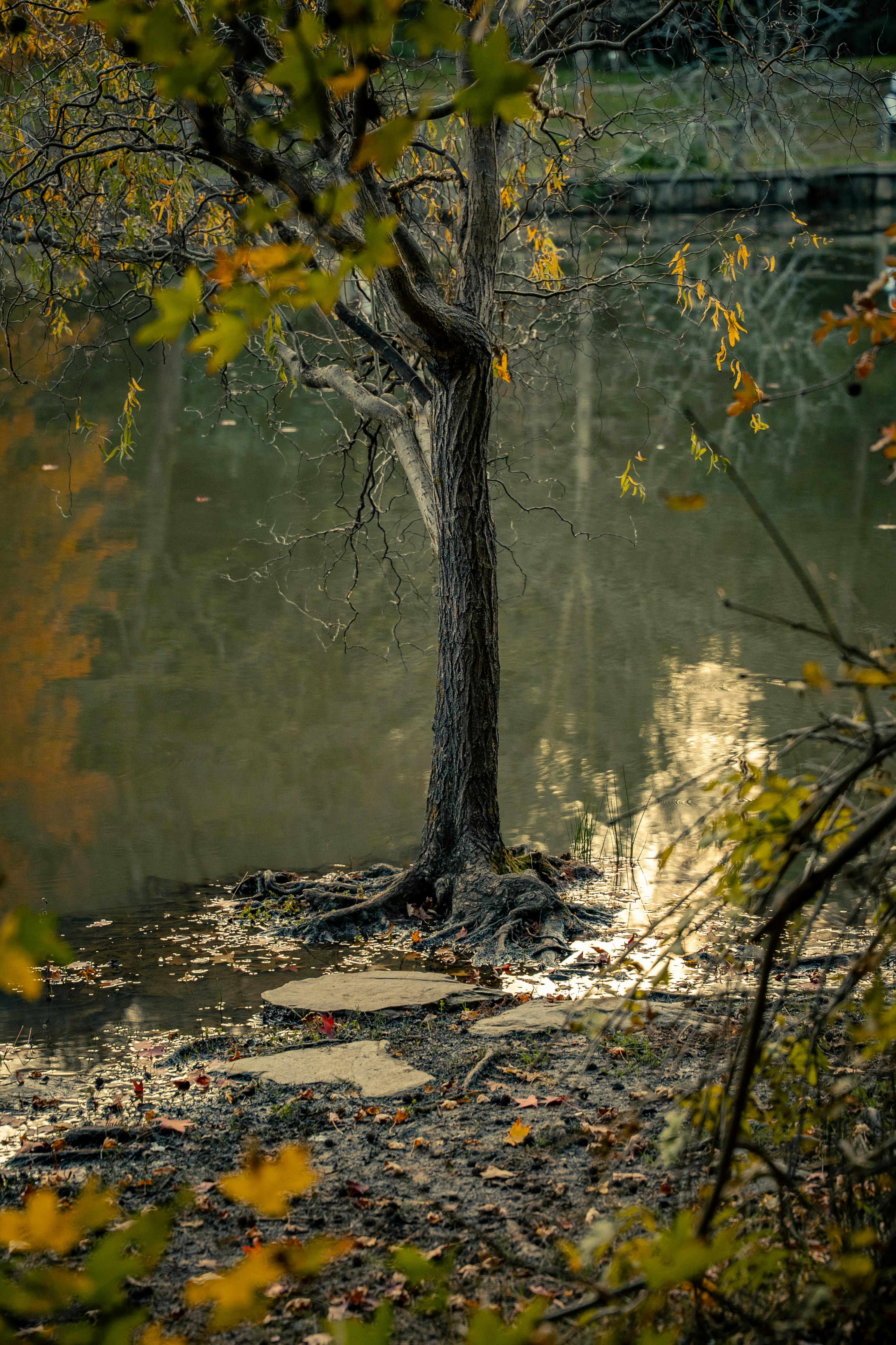 Websites+Like+Serialgo.Tv Photos, Download The BEST Free Websites+Like ...