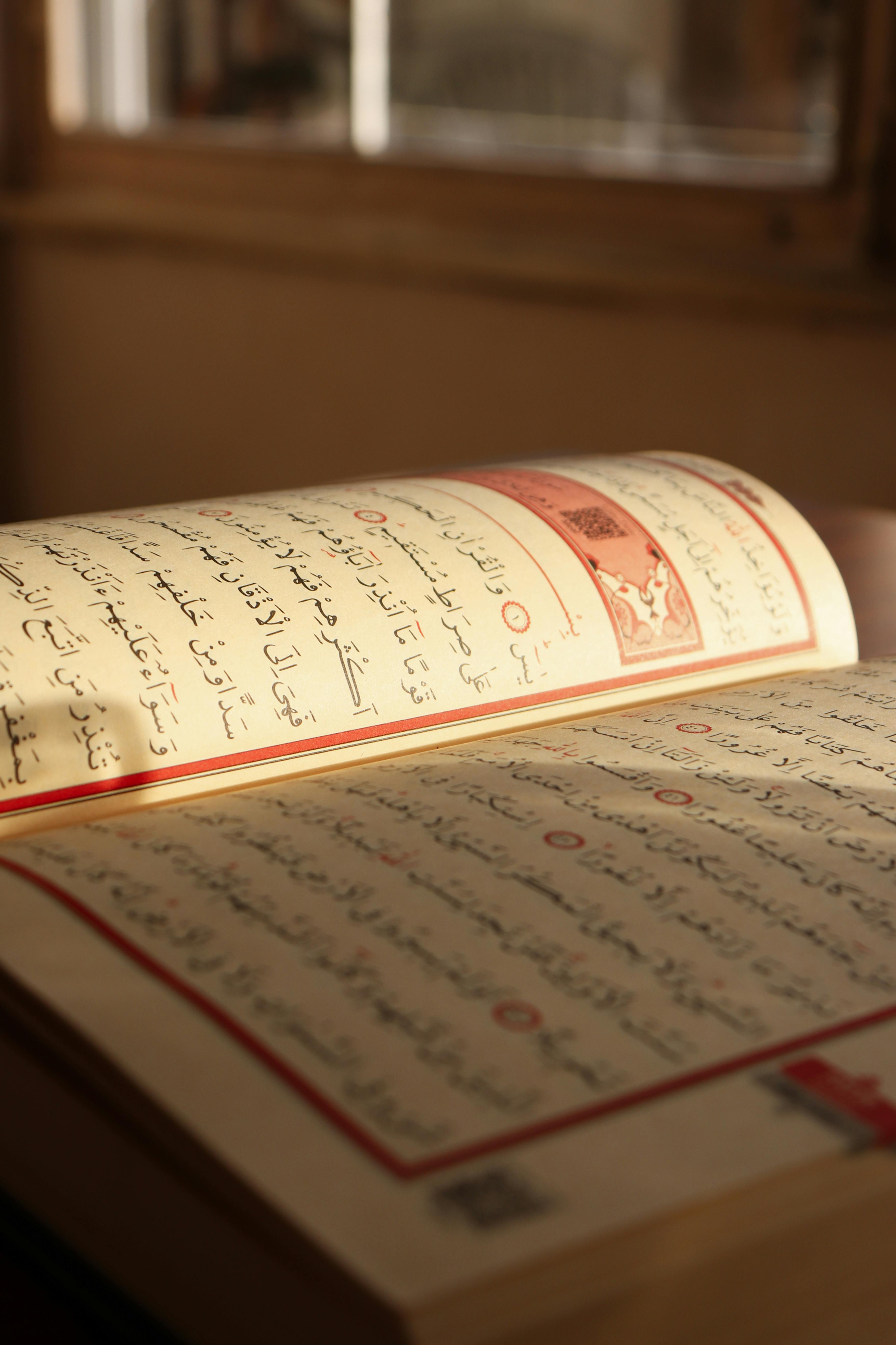 Reading+To+Rise.Com Photos, Download The BEST Free Reading+To+Rise.Com ...